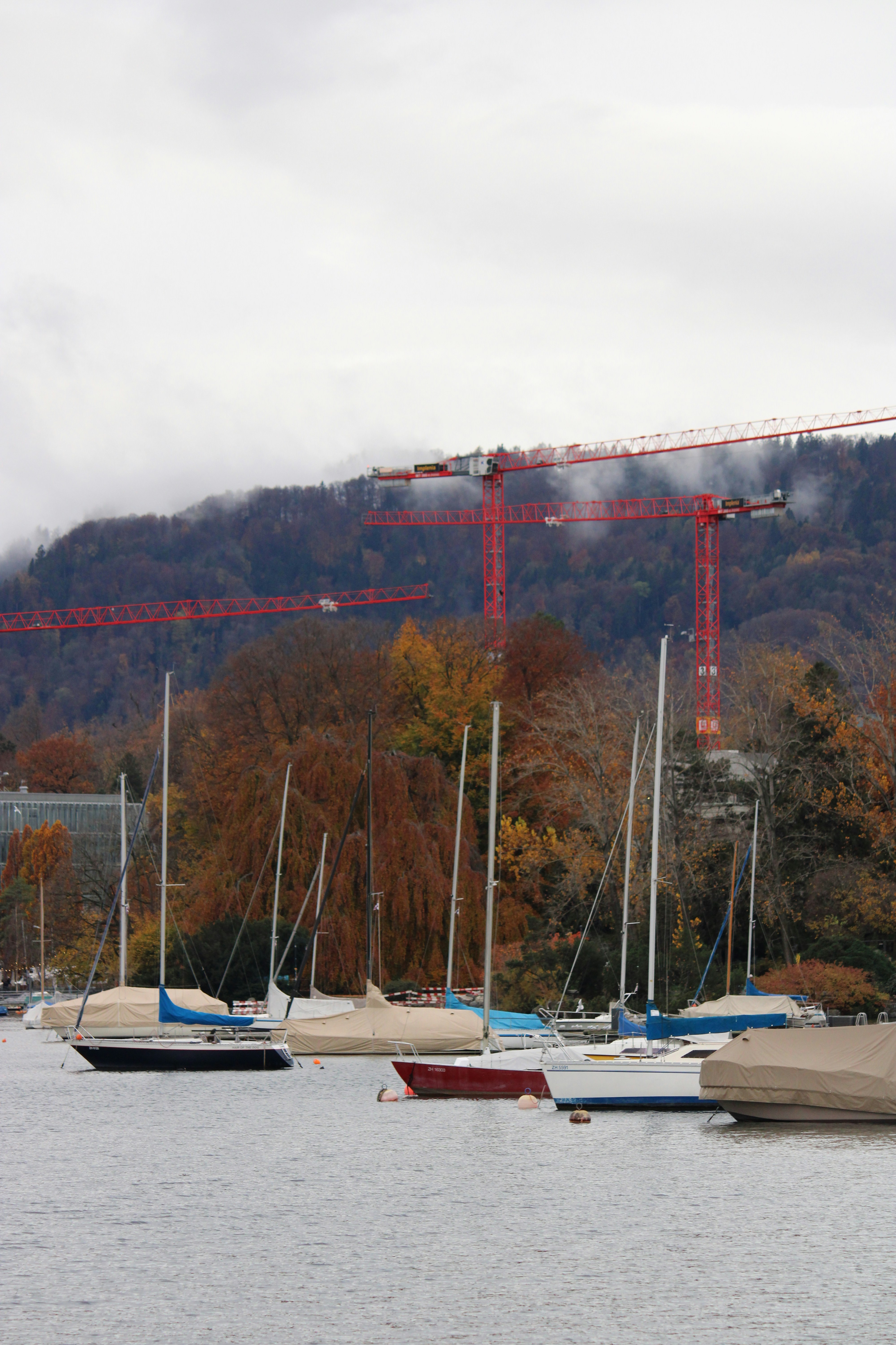 Crimson Cranes Over an Autumn Harbor of Sails