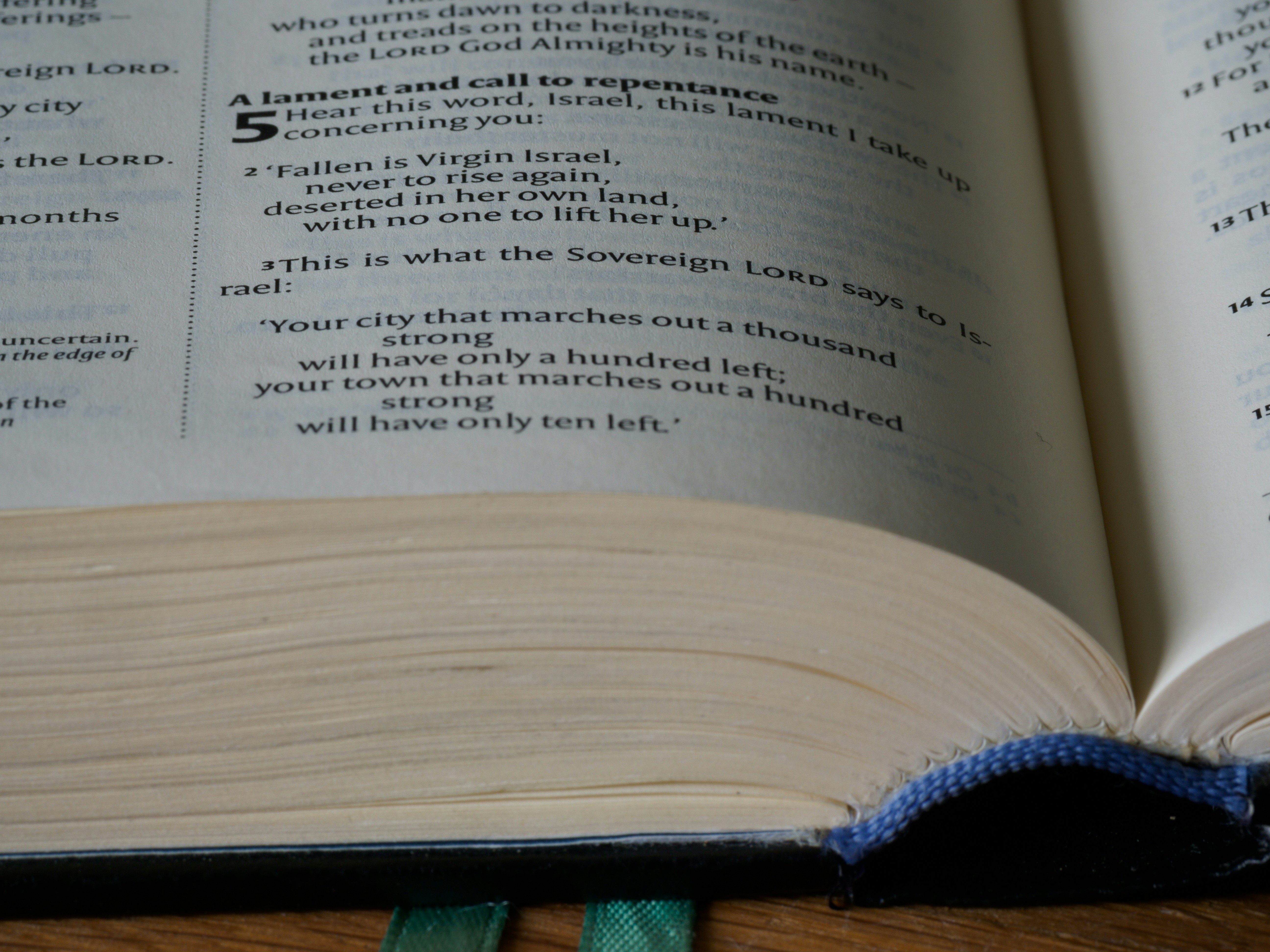 close up, bokeh, macro, blur, blurred background, close focus, bible, old testament, hebrew bible, christian, judaism, history, text, reading, bible study, devotions, text, NIV, New International Version, type, typography, canon, christianity, holy scripture, holy bible, scripture, old testament, hebrew bible, prophecy, exile, judgement, judgment, redemption, septuagint, destruction of jerusalem, restoration of israel, restoration, amos, minor prophets, jeroboam ii, kingdom of judah,