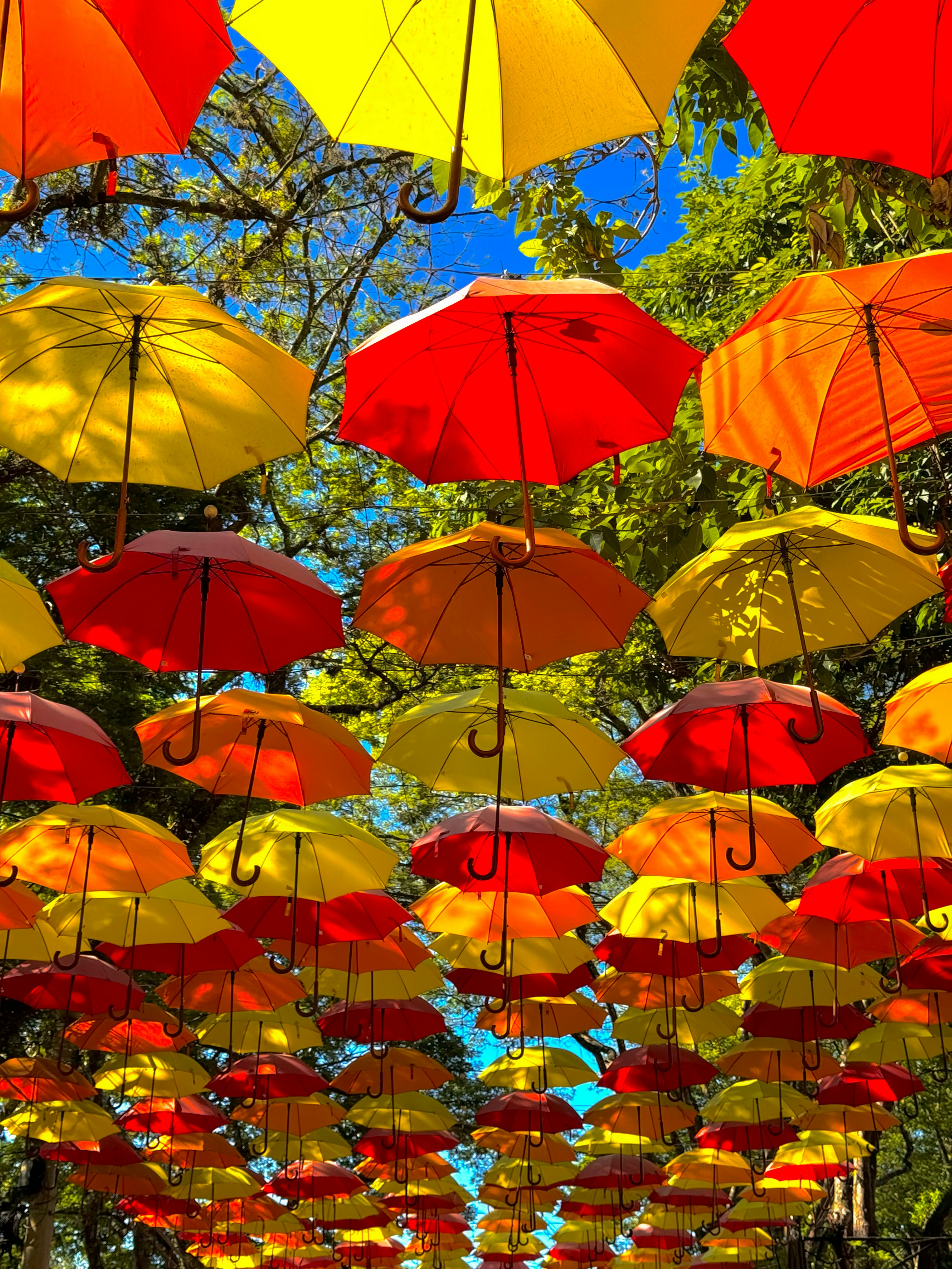A bunch of umbrellas that are hanging in the air photo – Free Outdoors ...