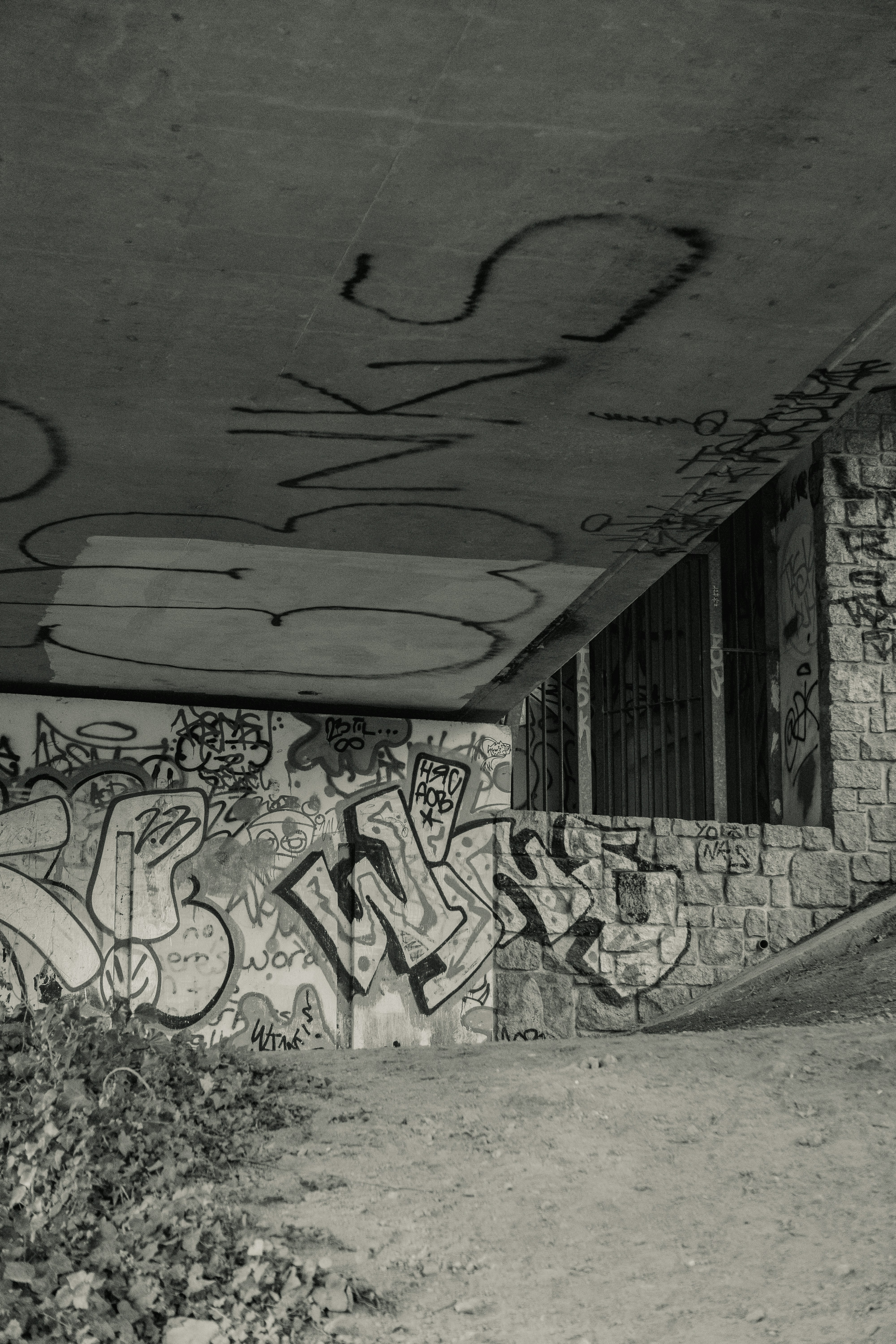 Shadows on the Graffiti Canvas: An Underpass Gallery in Grayscale