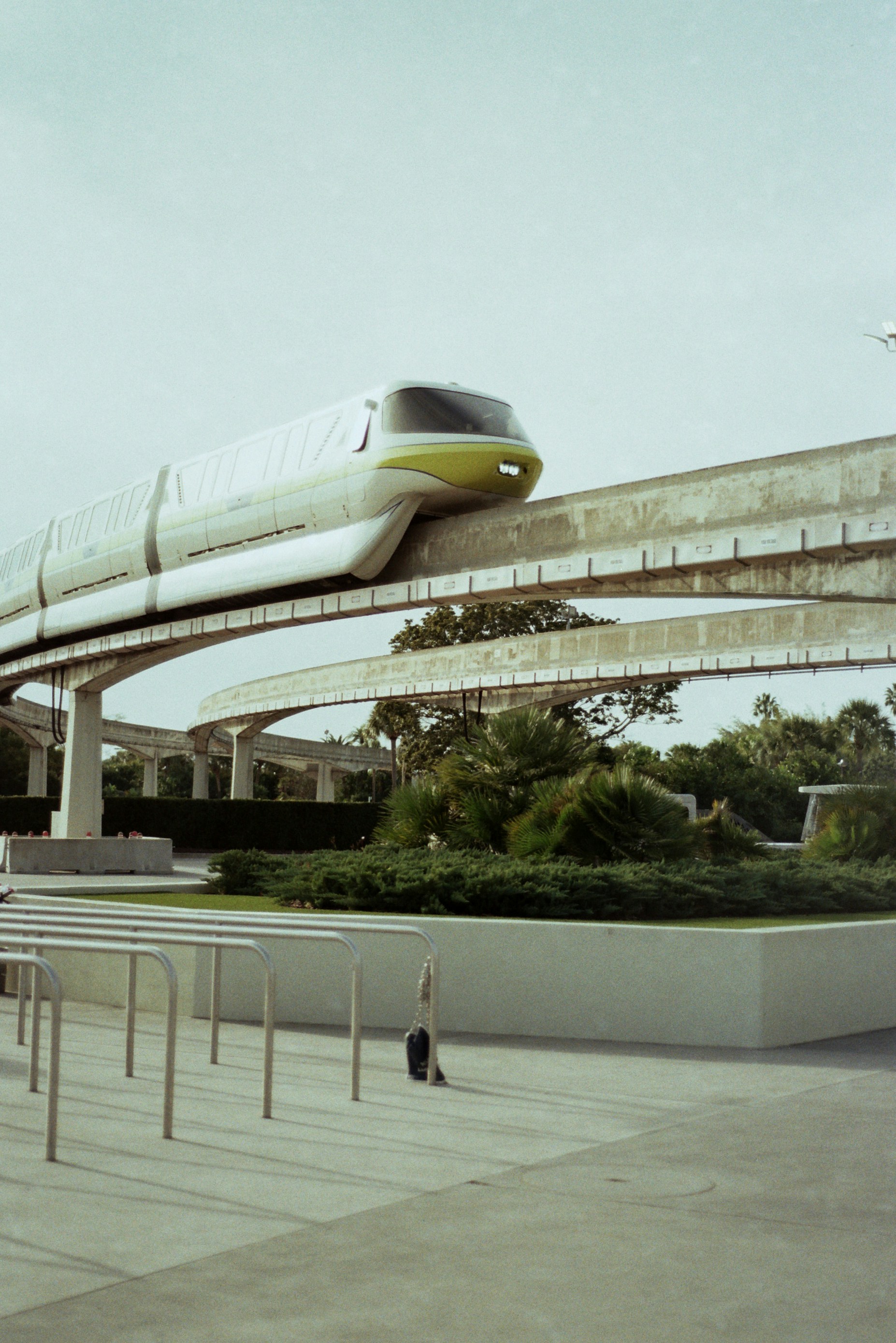 A monorail going over a bridge in a park photo – Free Grey Image on ...