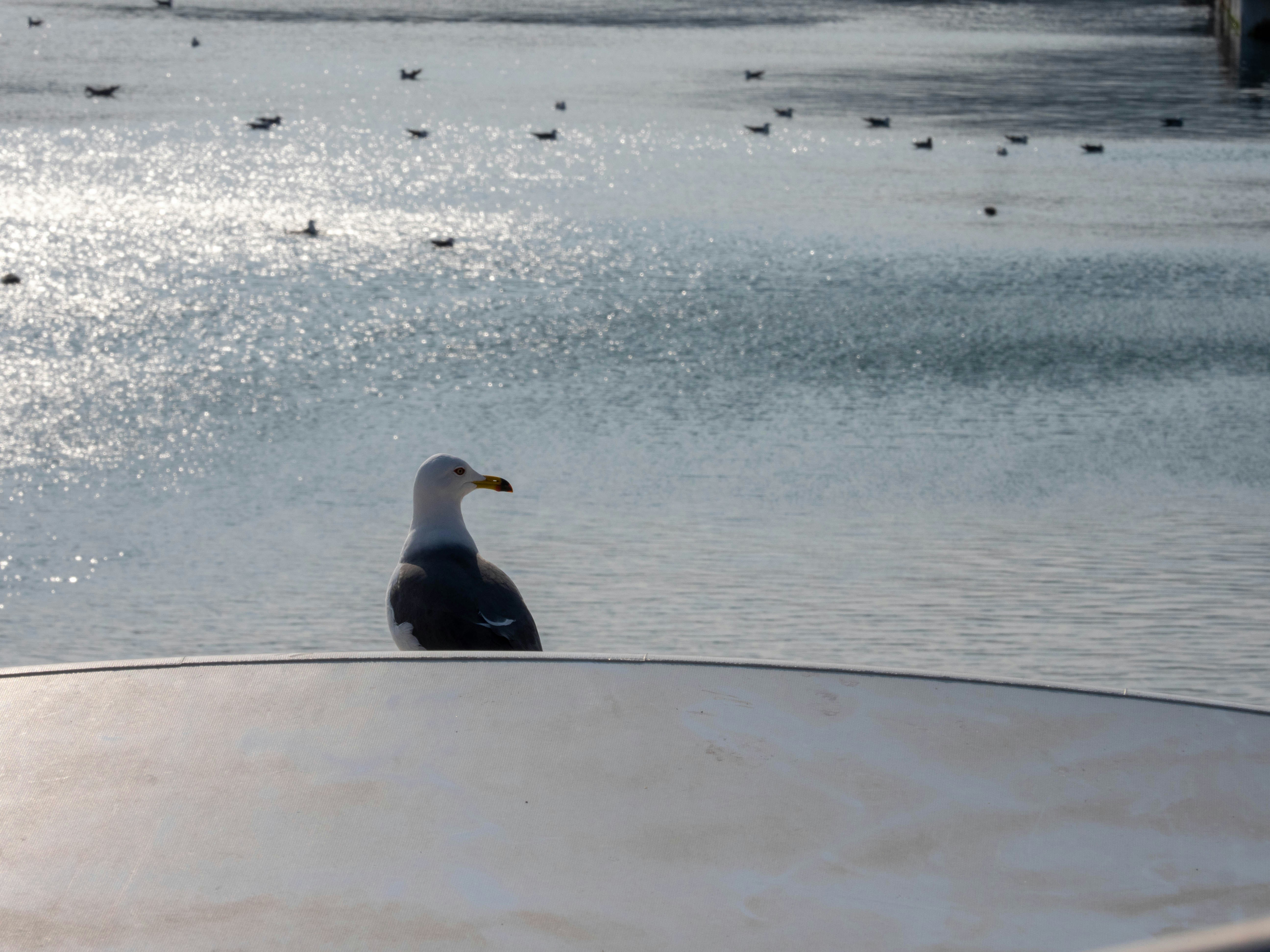 Photo by Vash Choi with Olympus OM-D E-M1 Mark II