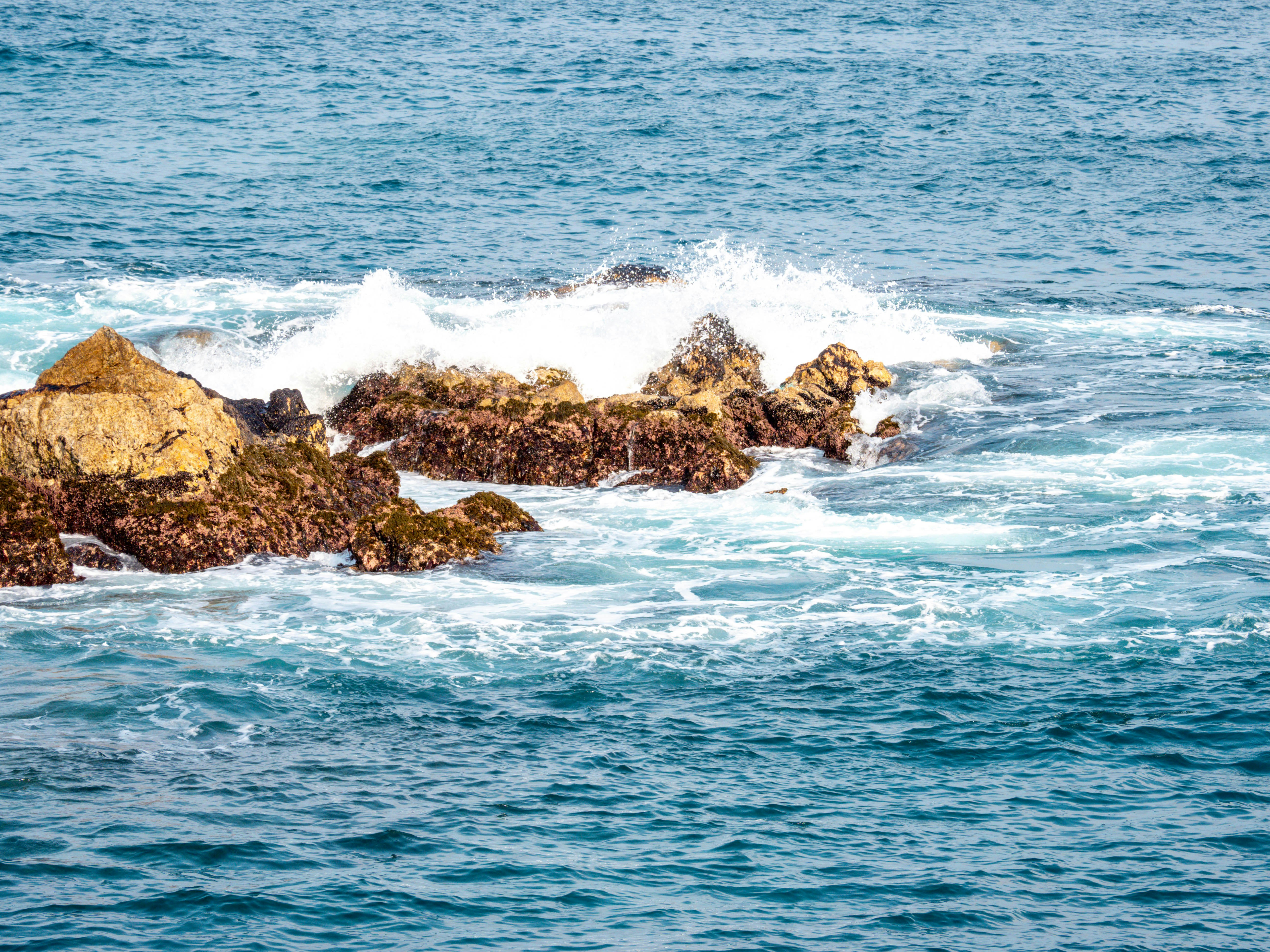Un grand plan d’eau à côté d’un rivage rocheux photo – Image gratuite ...