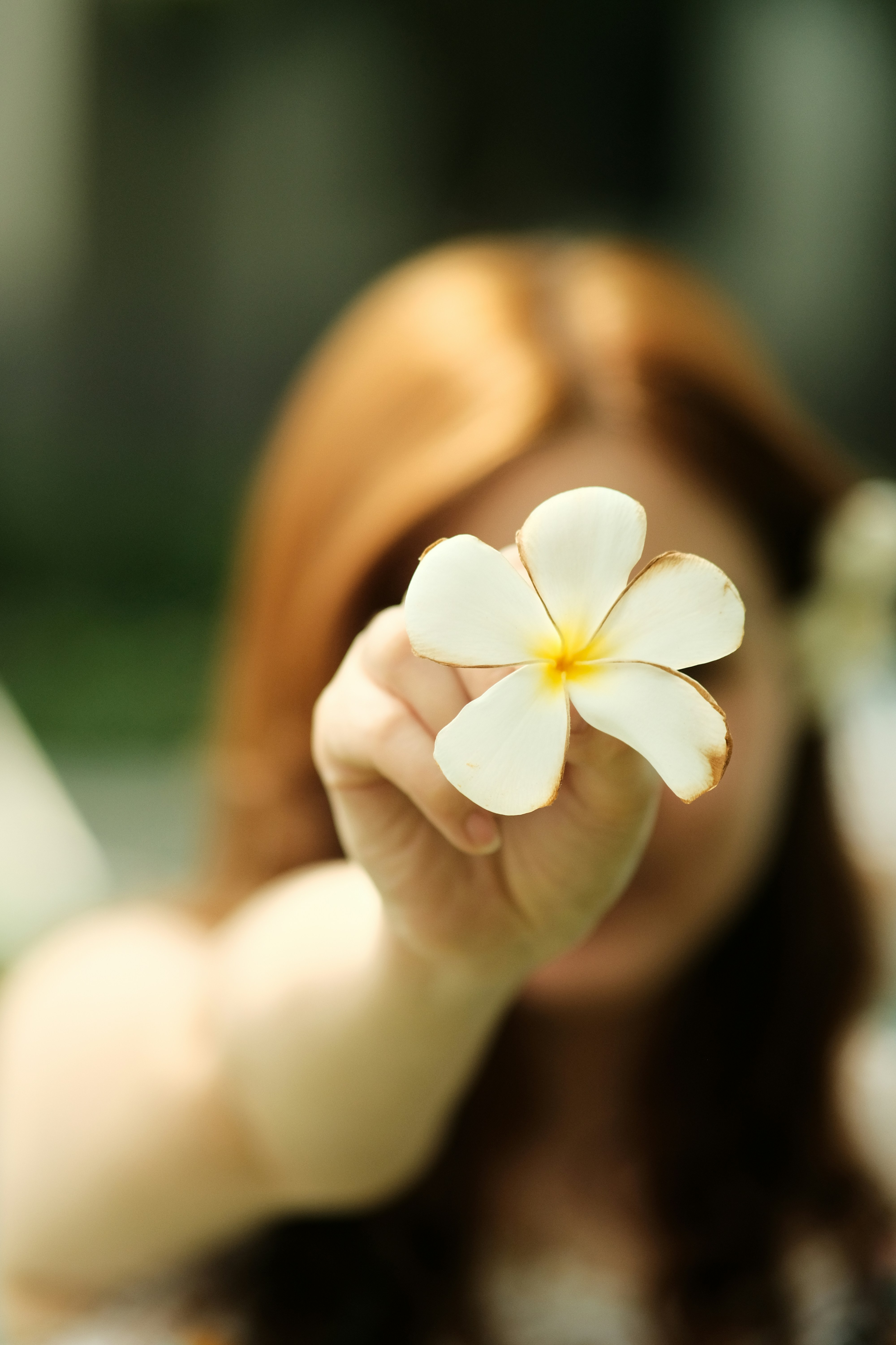 Plumeria in Hand: A Portrait with Creamy Bokeh