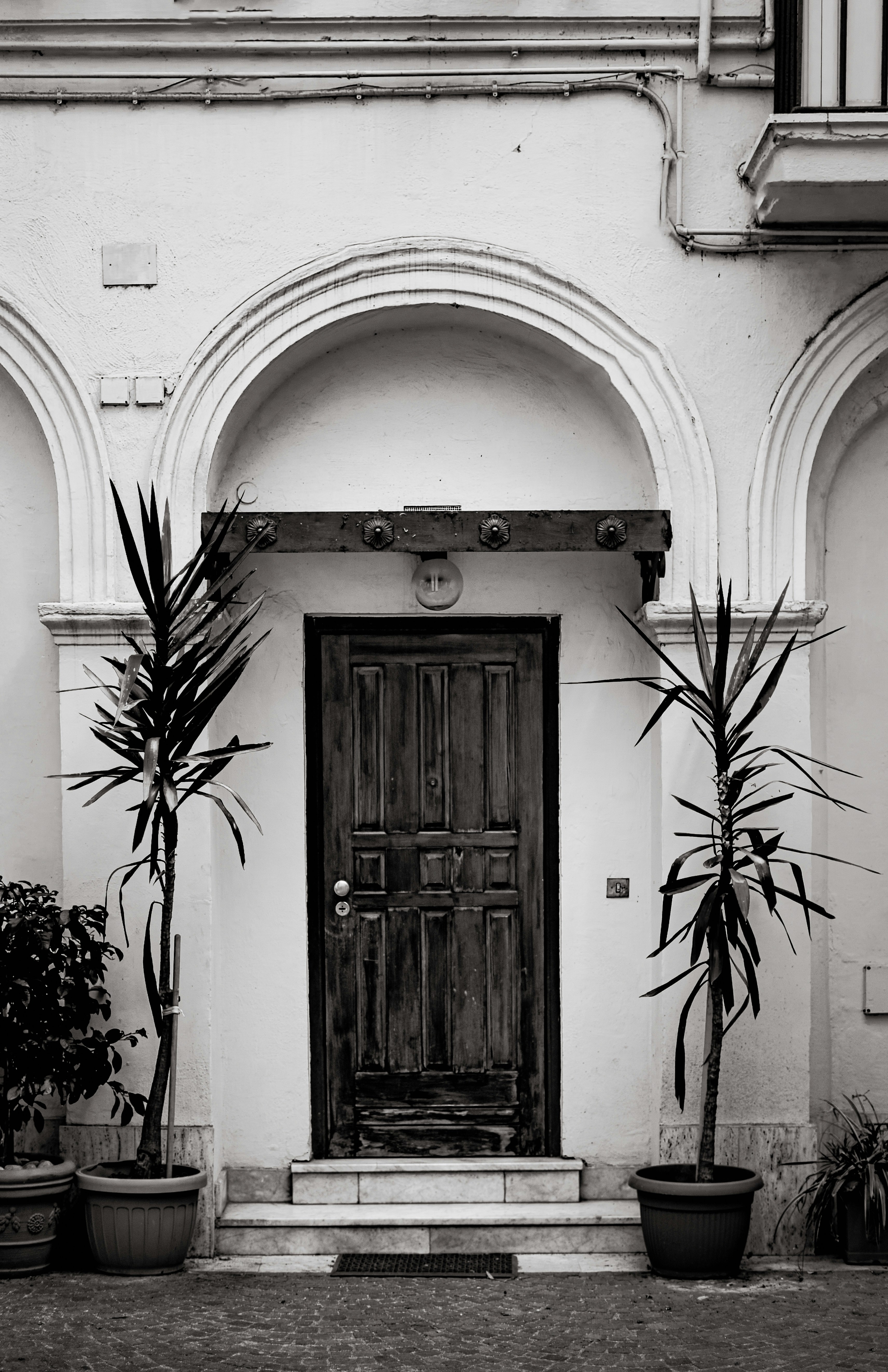 Arched Silence: A Weathered Door Framed by Palm-Lined Facade