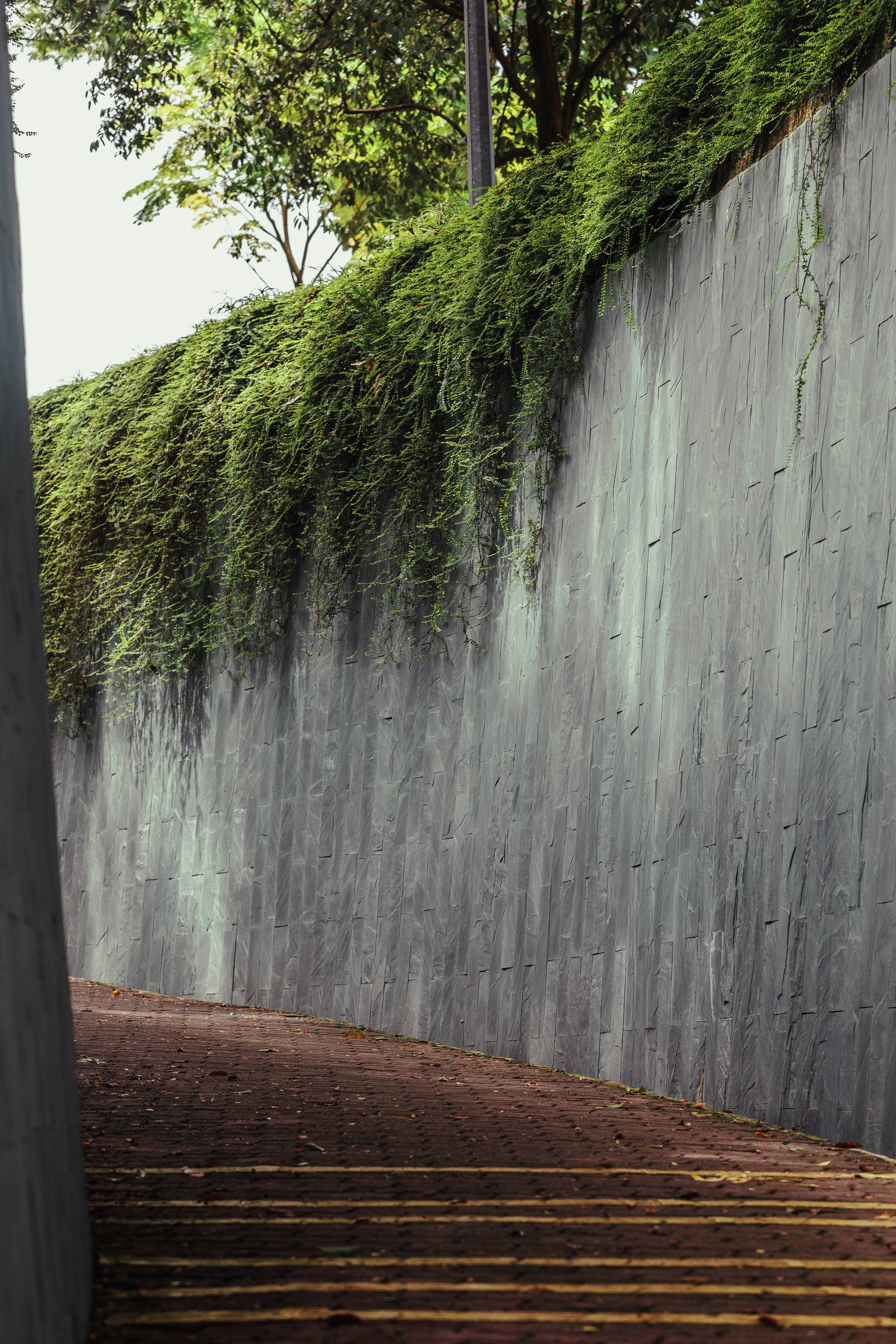 Photo by Connor Gan with Canon EOS RP