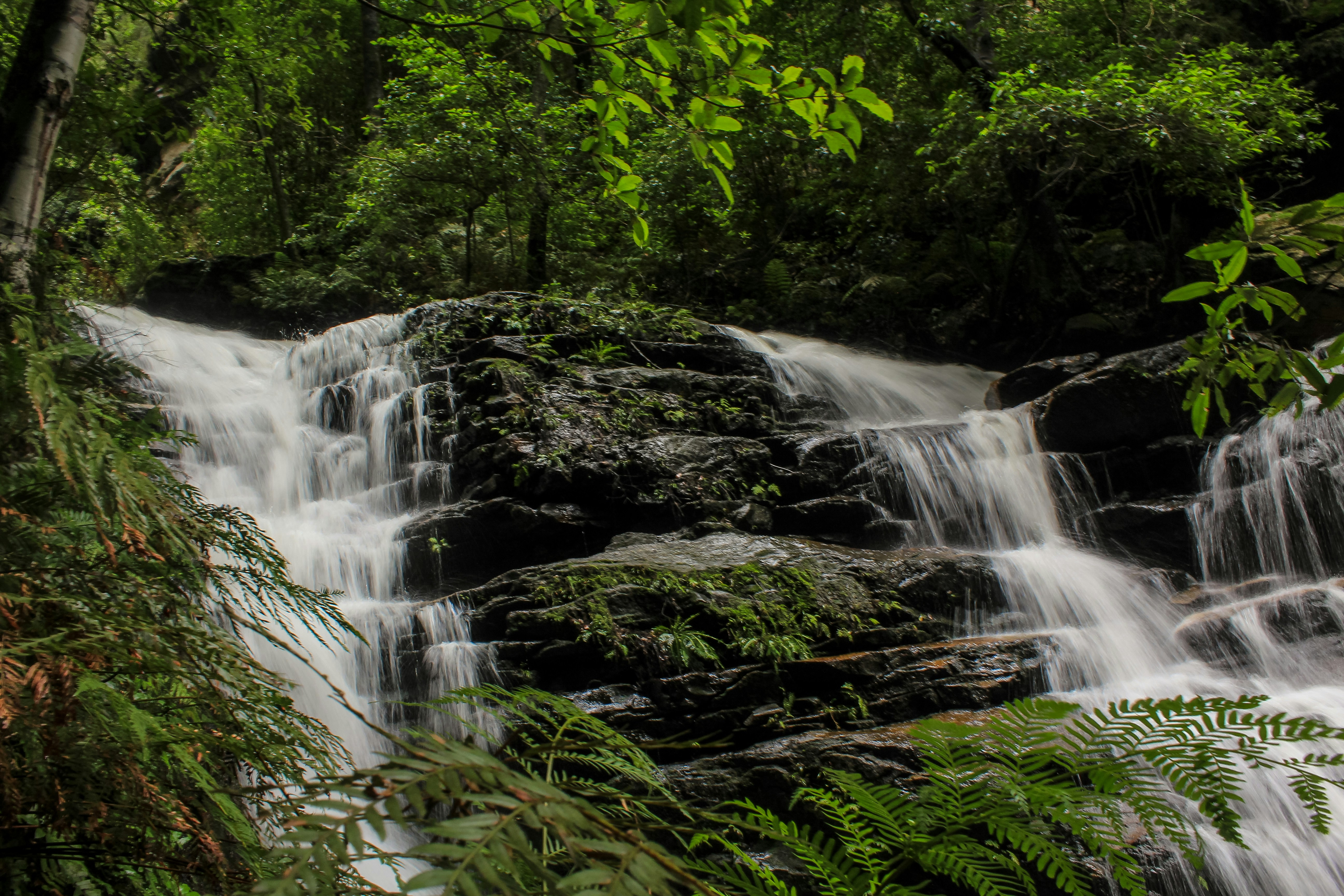 a walk among waterfalls after lots of rain