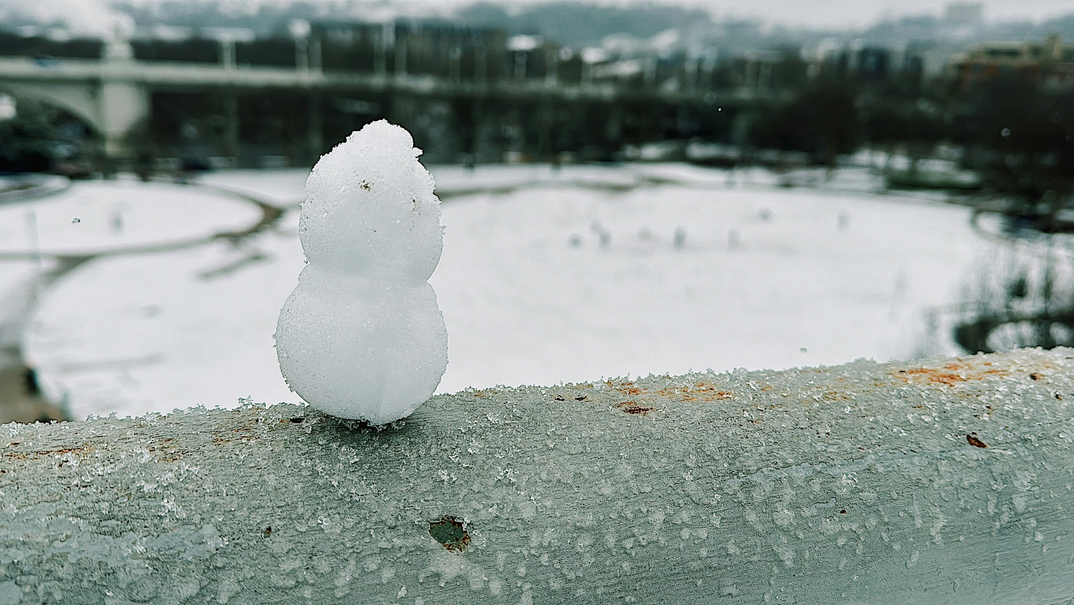 Tiny Snow Sentinel Perched on a Frosted Rail Over a Distant City