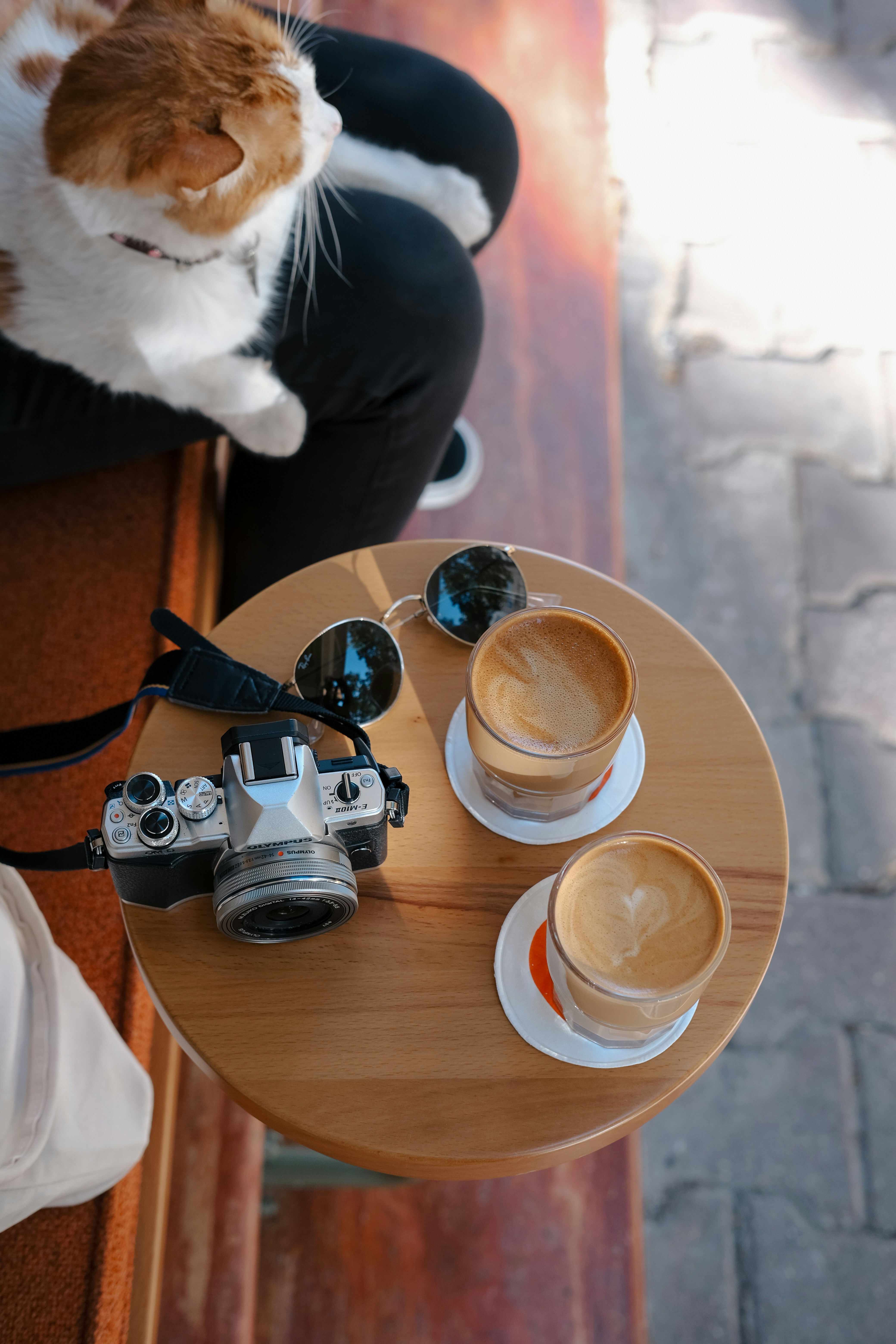 Latte, Lens, and a Cat: a Top-Down Café Moment