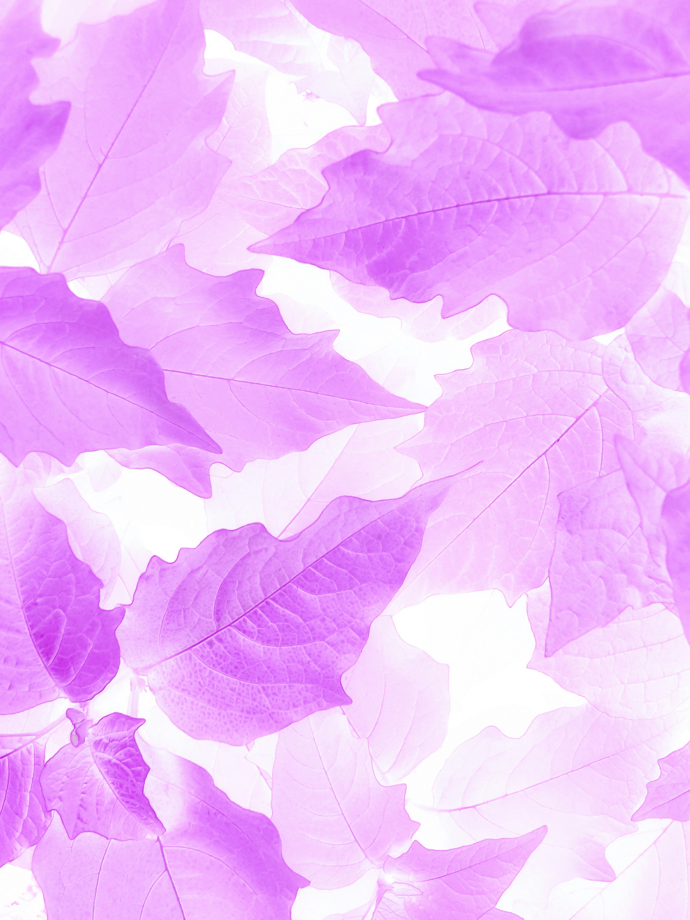 Photo by Eugene Golovesov with Sony Cyber-shot W80