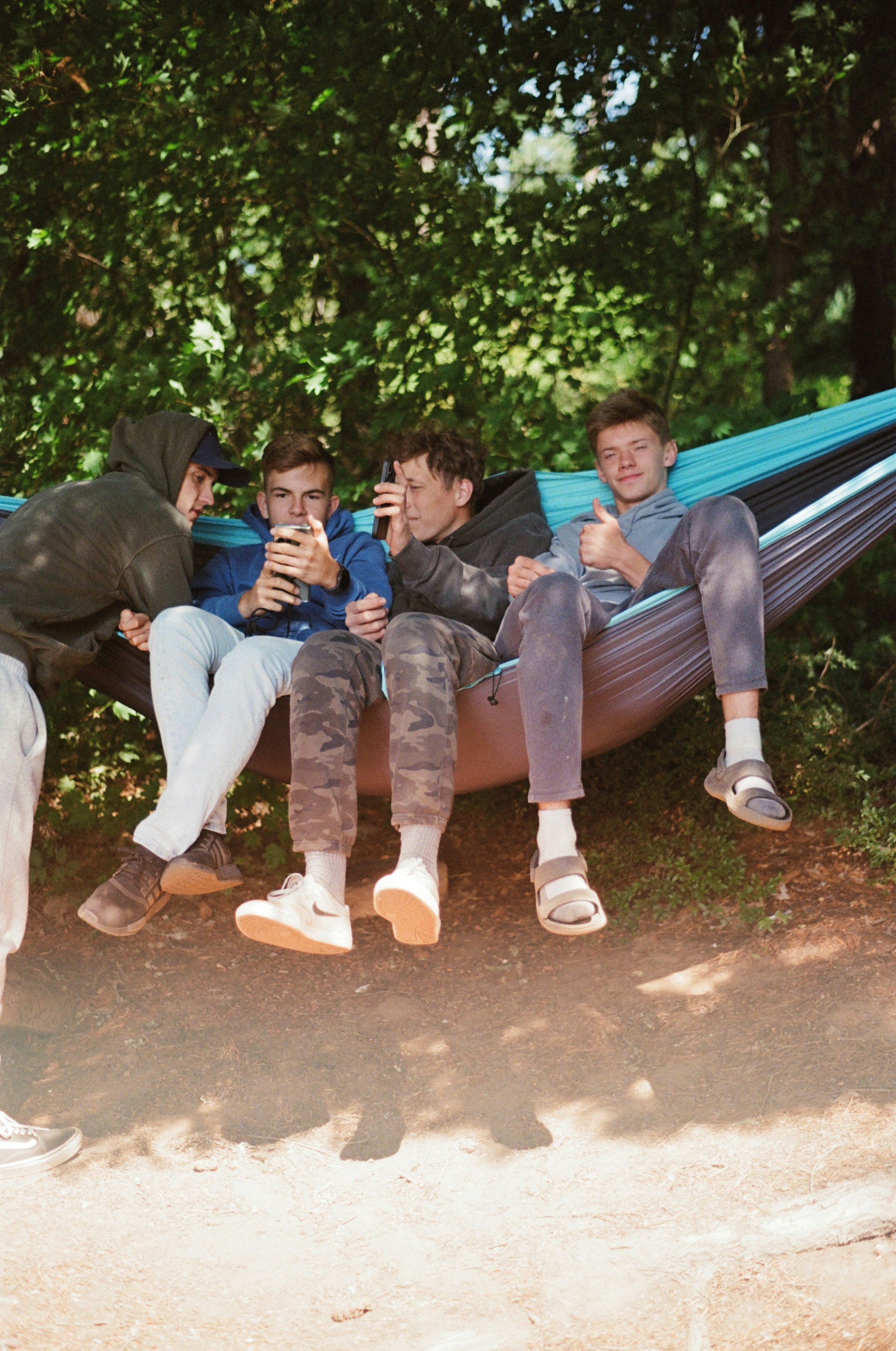 A group of young men sitting in a hammock photo – Free Forest Image on ...