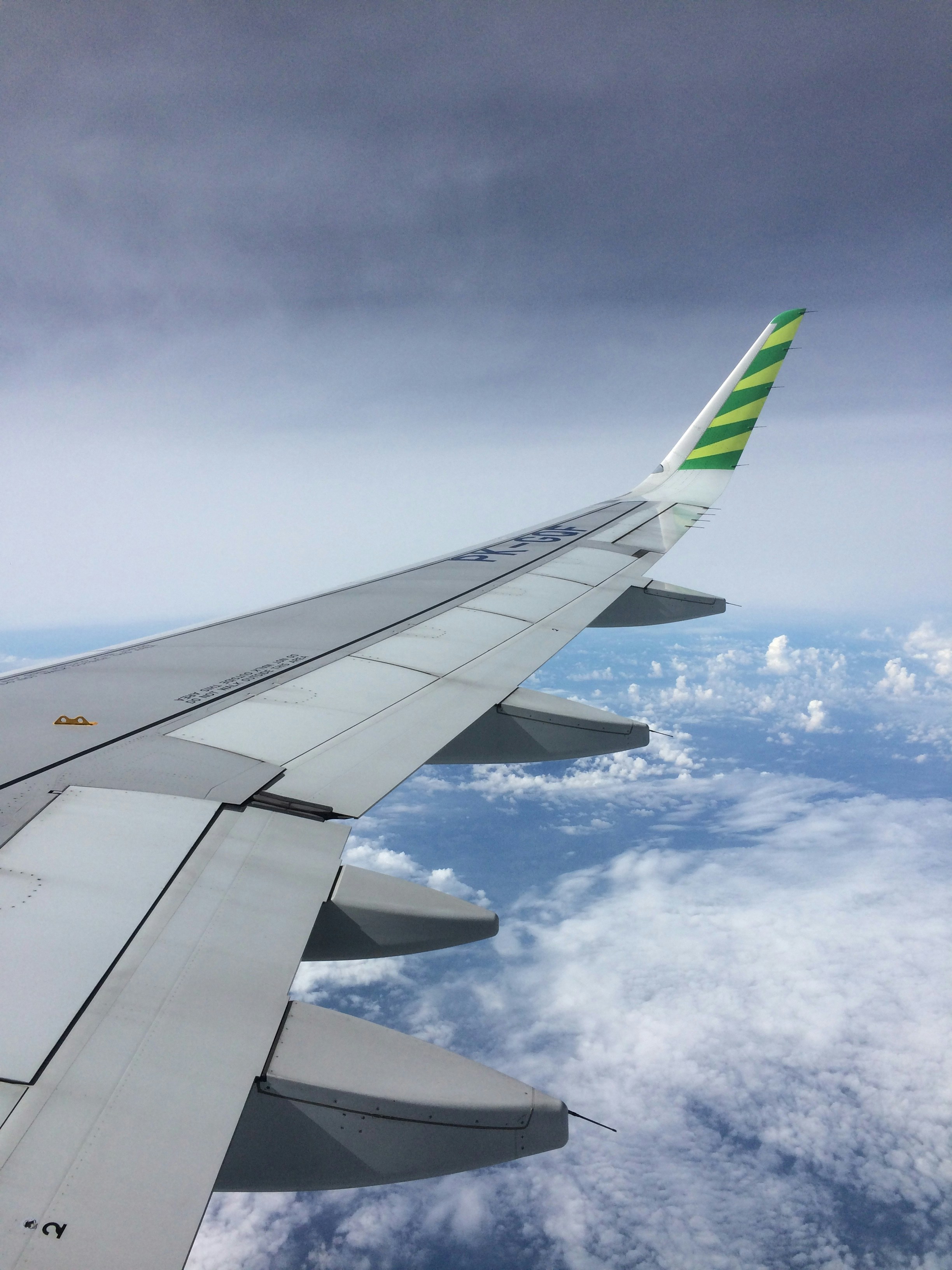 Wing in the Sky: A Sliver of Green and Cloudscape