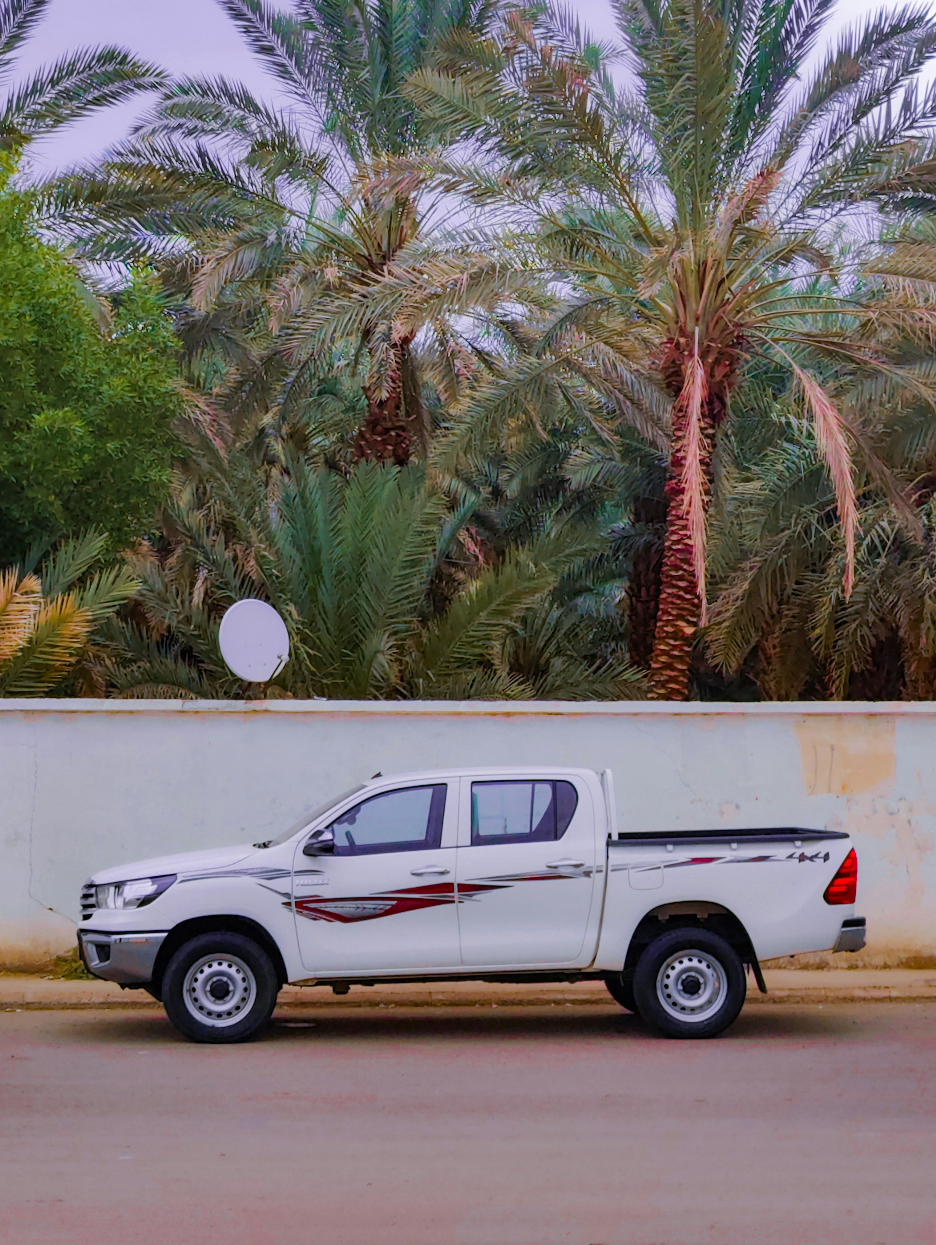 A photograph of a white pickup truck parked along a pale wall with lush palm trees behind.