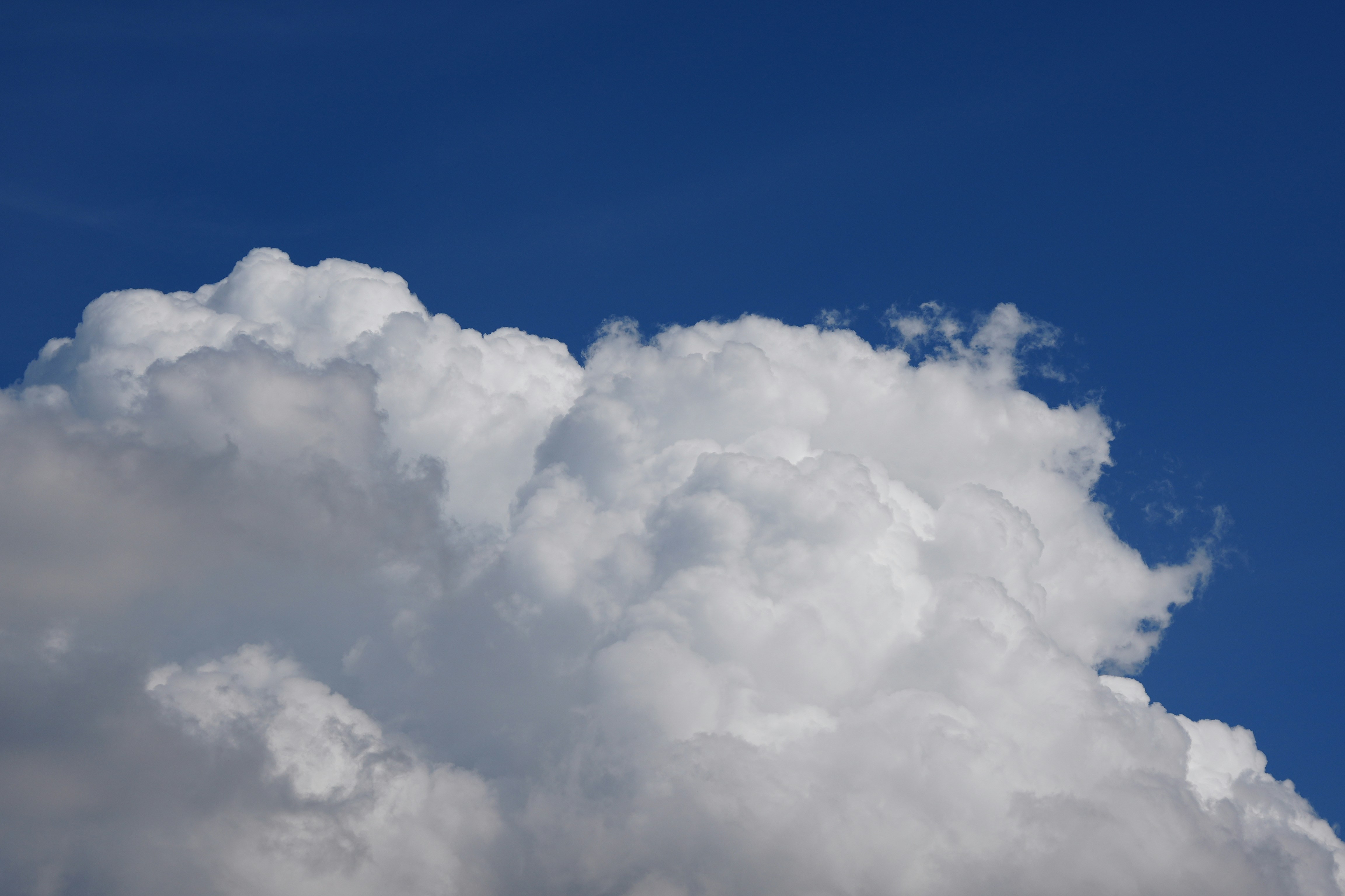 A large white cloud is in the sky photo – Free Cloud Image on Unsplash