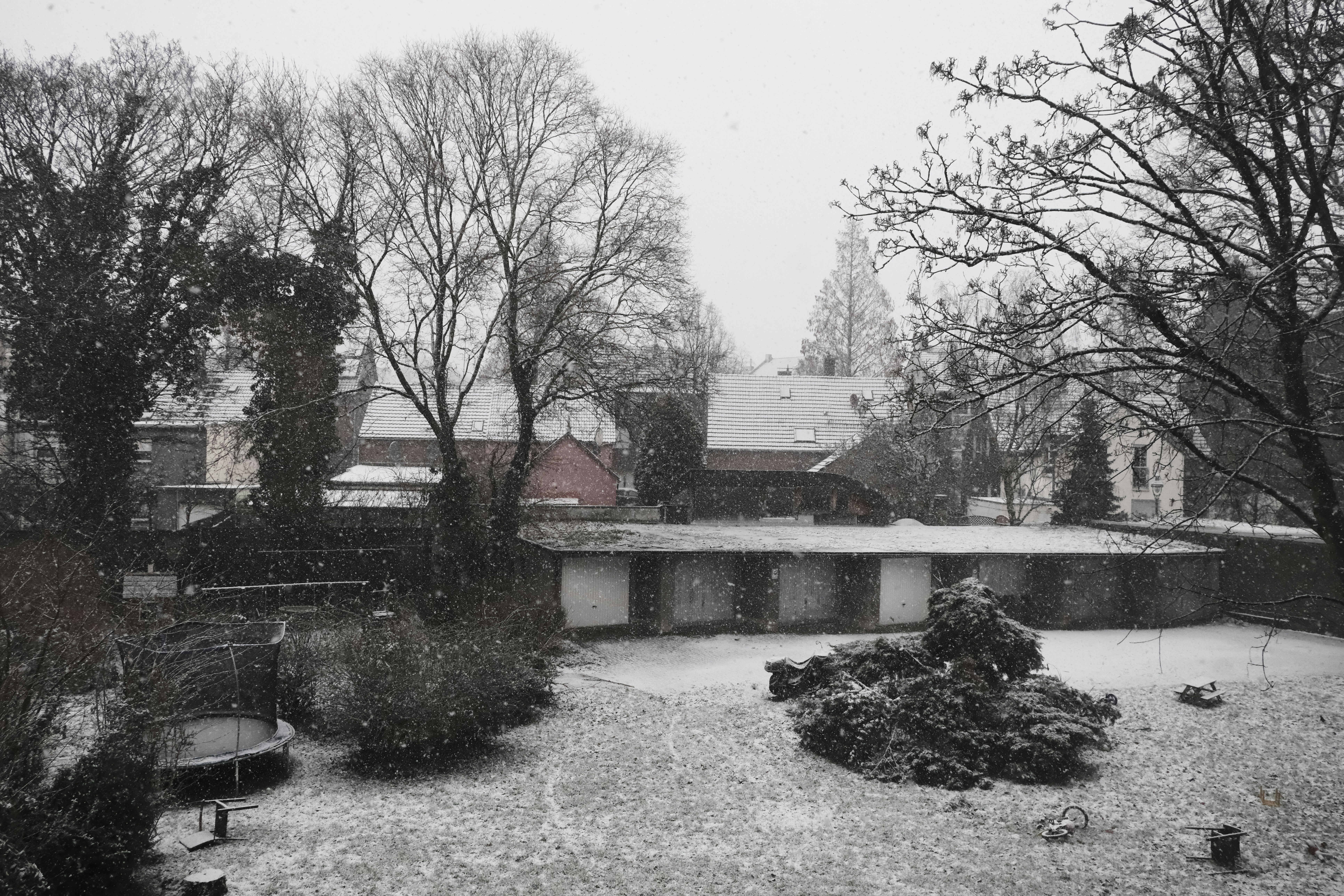 A snow covered yard with trees and buildings in the background photo ...