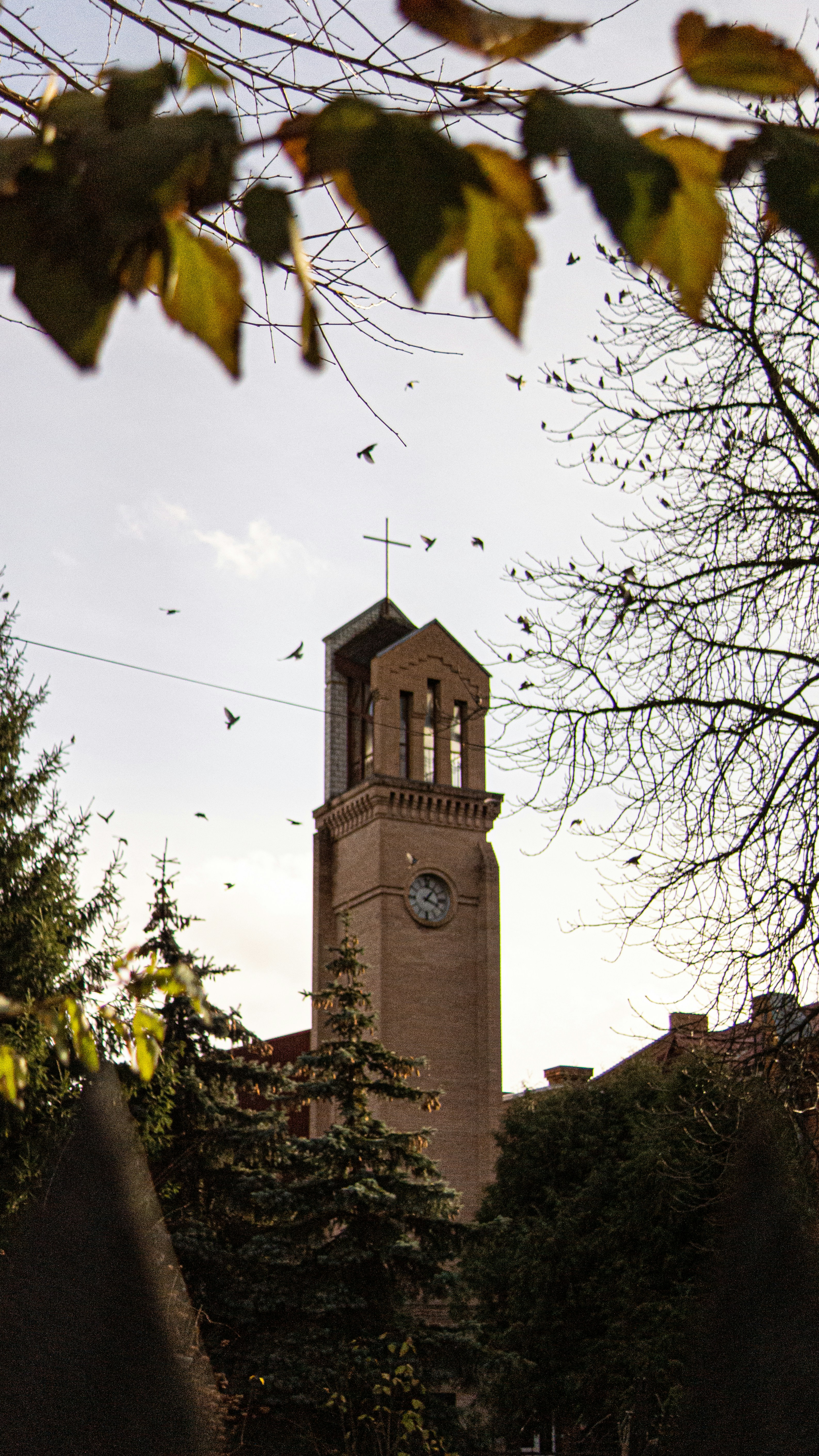 Cross-Topped Clock Tower Surrounded by Falling Leaves and Flying Birds