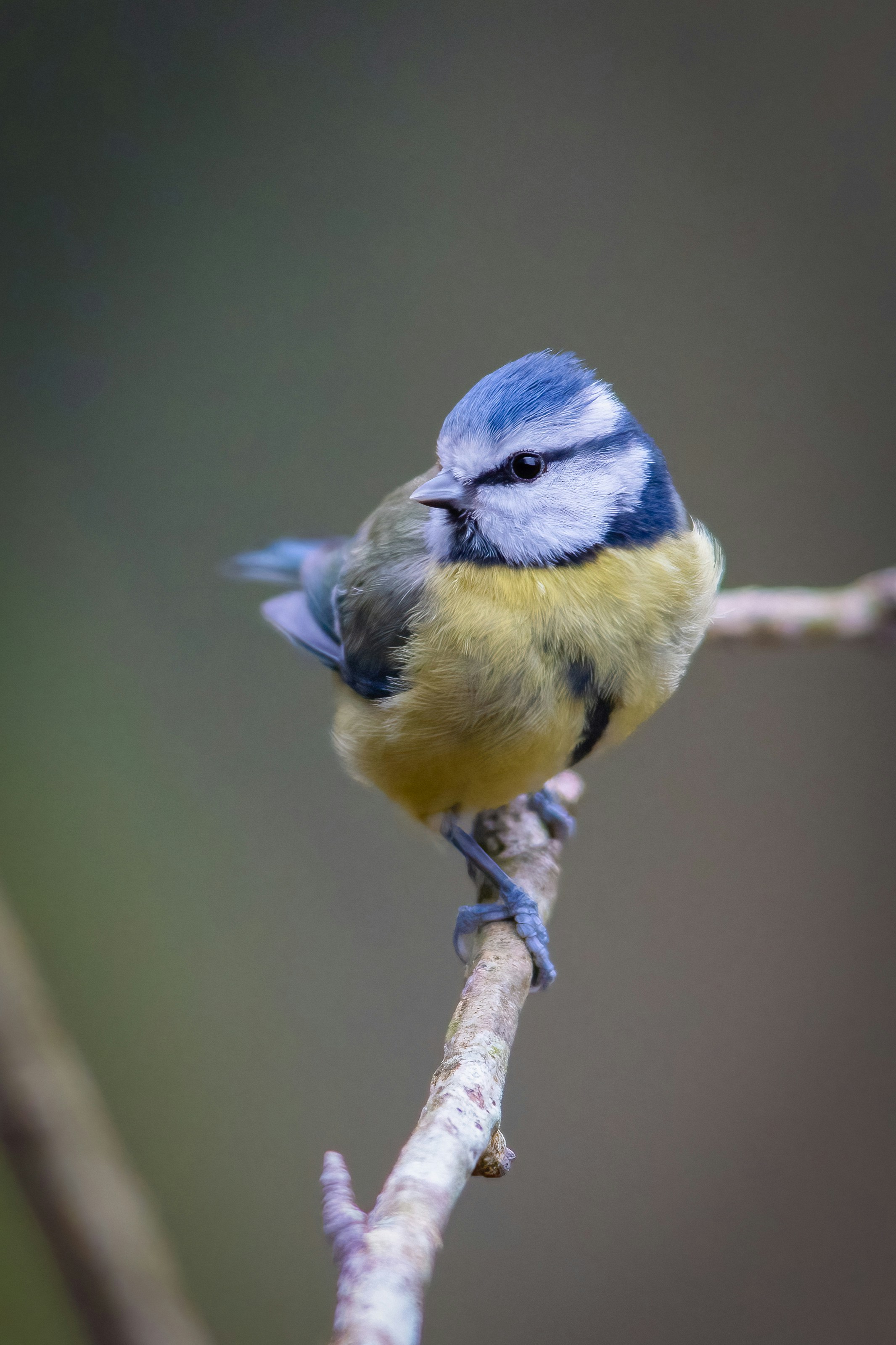 Sample photo from Pentax K-3 III