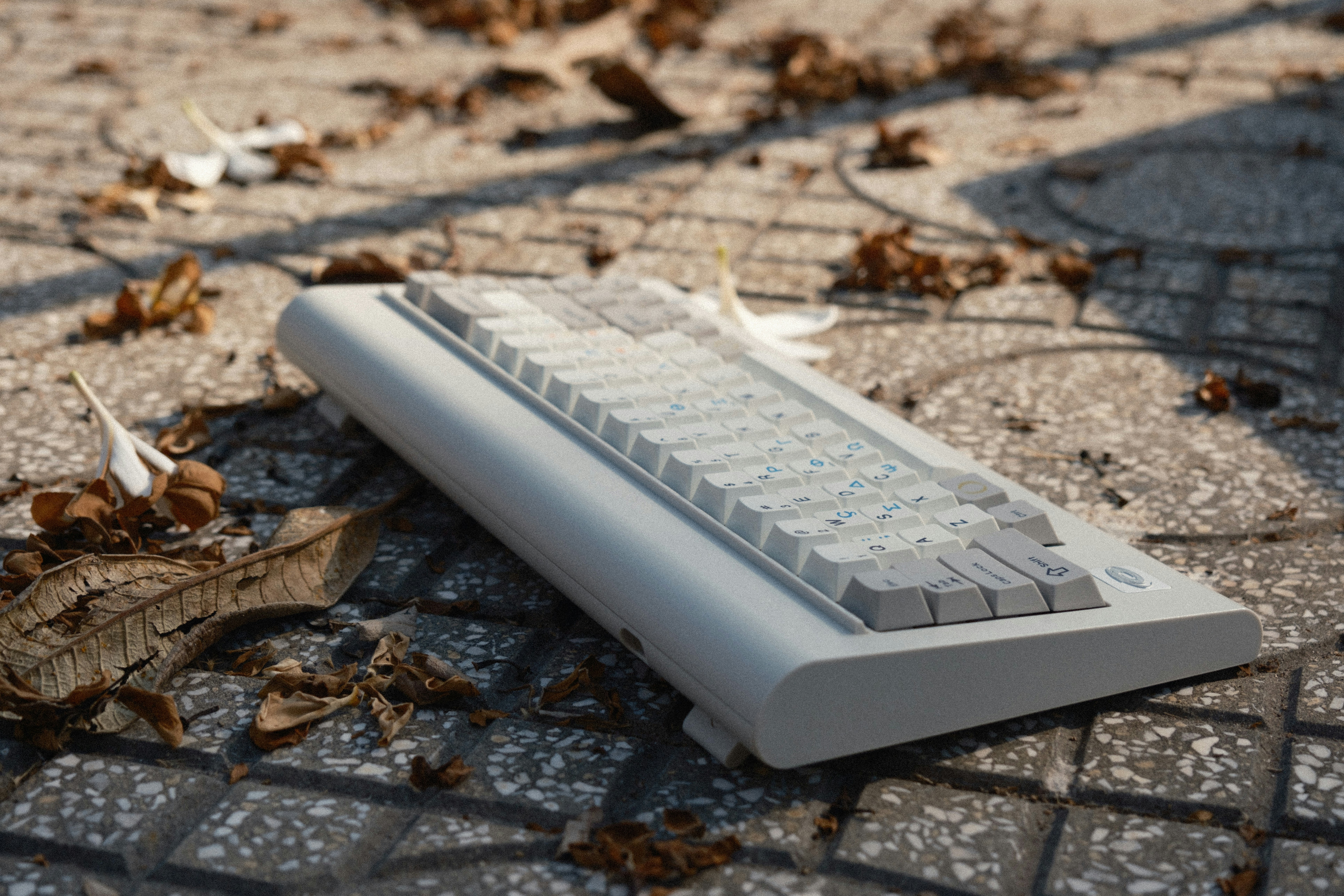 A keyboard sitting on the ground with leaves around it photo – Free ...