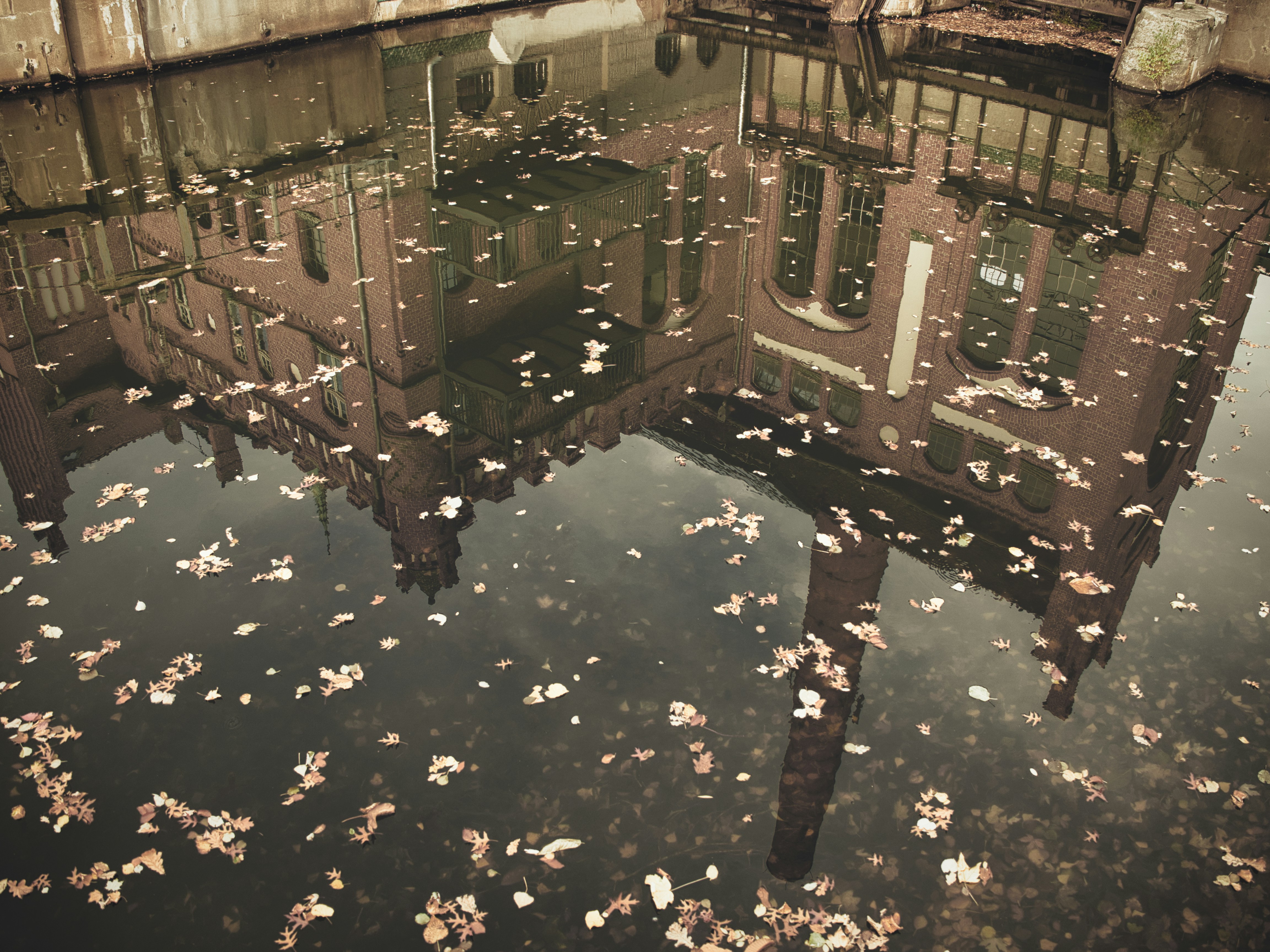 Echoes in a Leaf-Strewn Canal: City Reflections