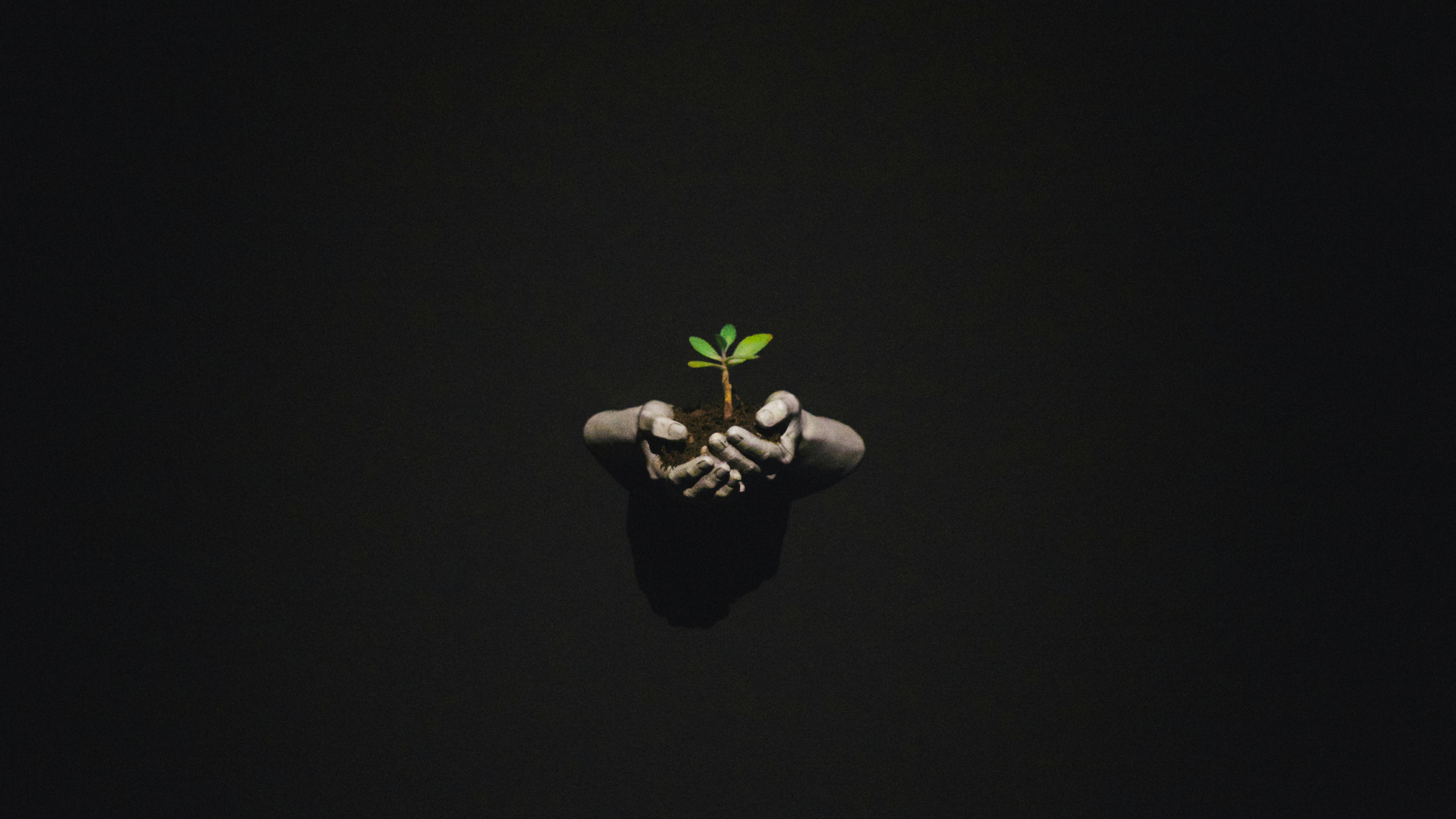 Photo by Héctor Morales Guzmán with Canon EOS 1300D