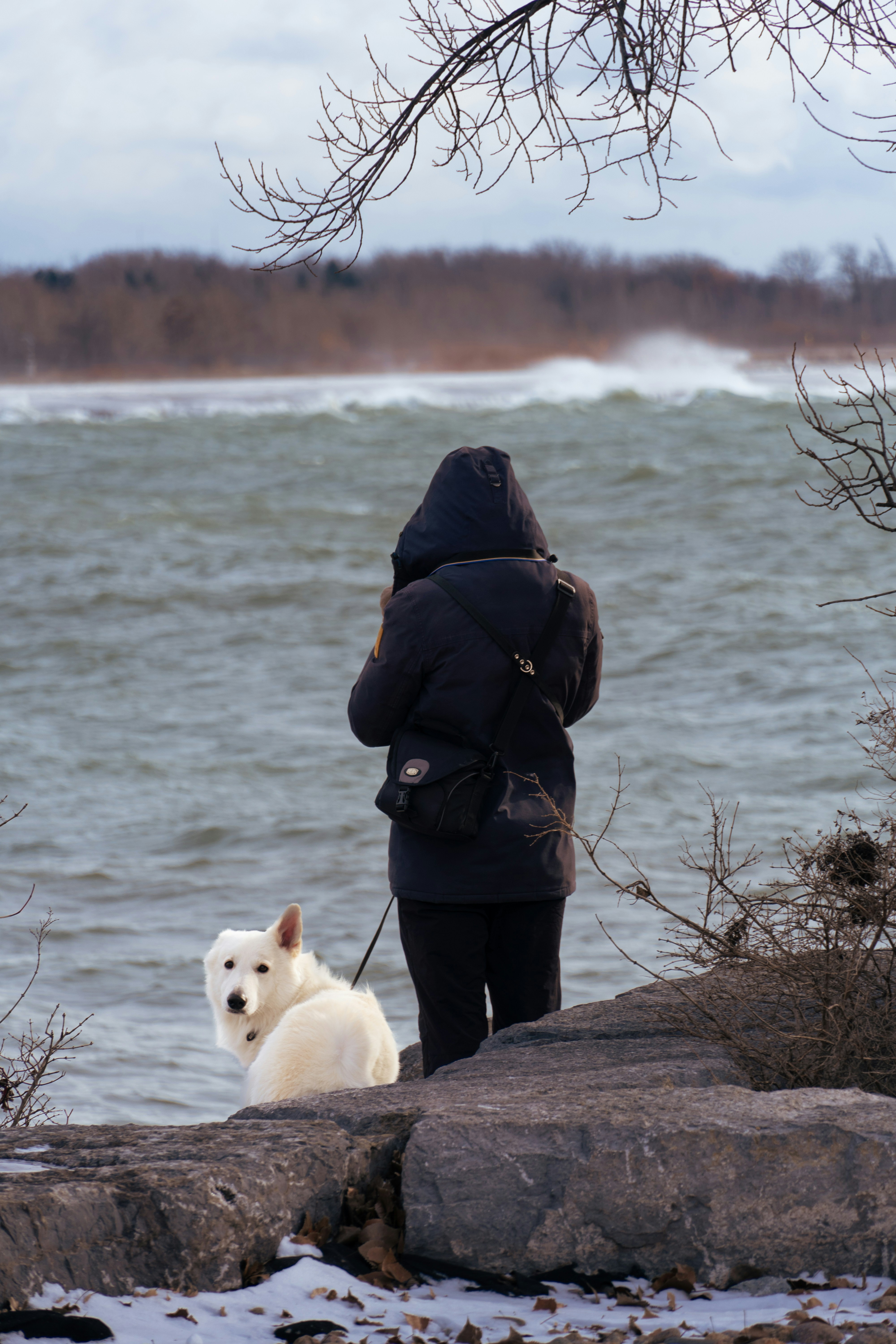 Winter Quiet at the Breakwater: Hooded Figure and White Dog by the Choppy Lake