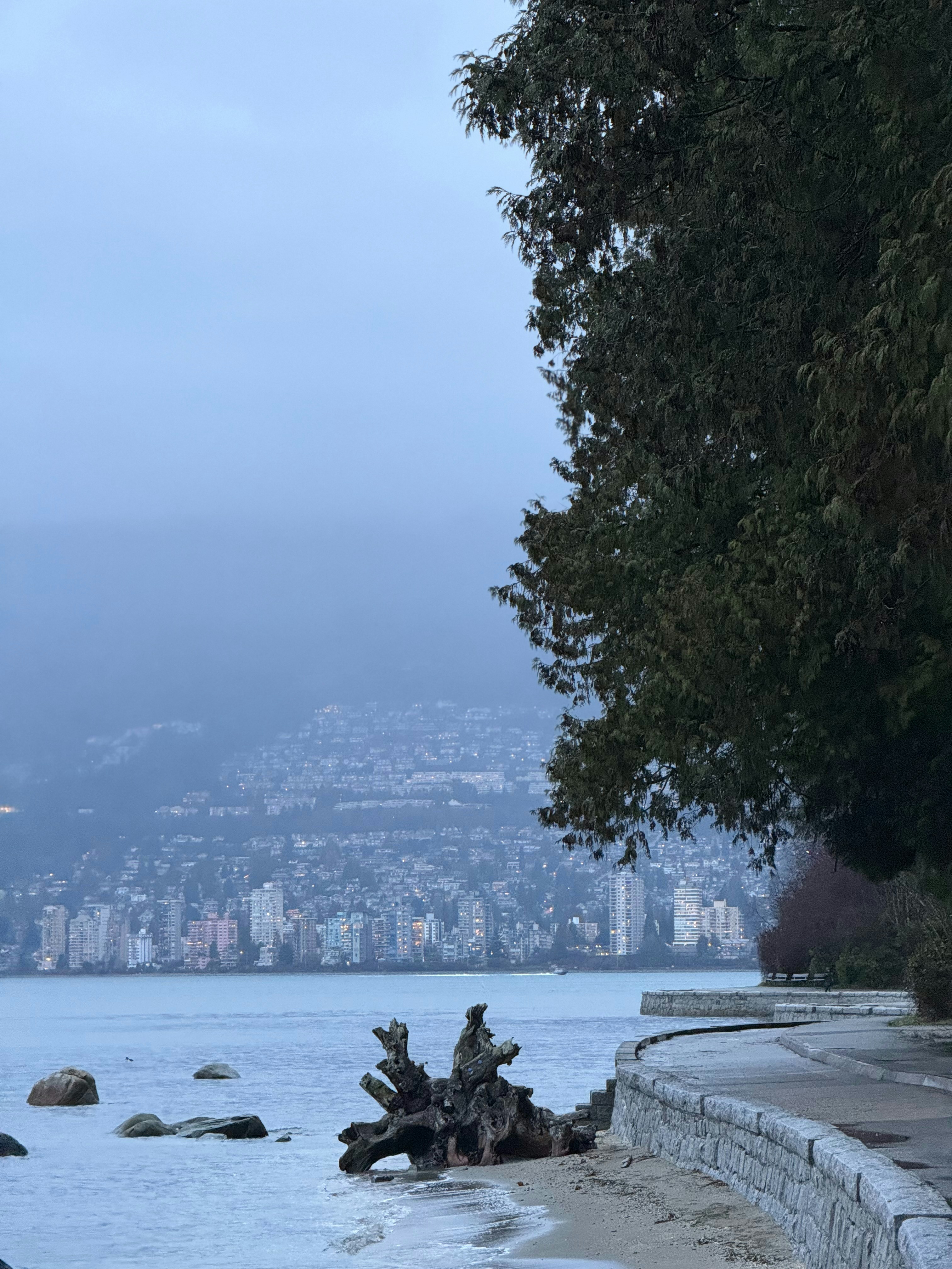 Whispers of Dawn by the Shoreline