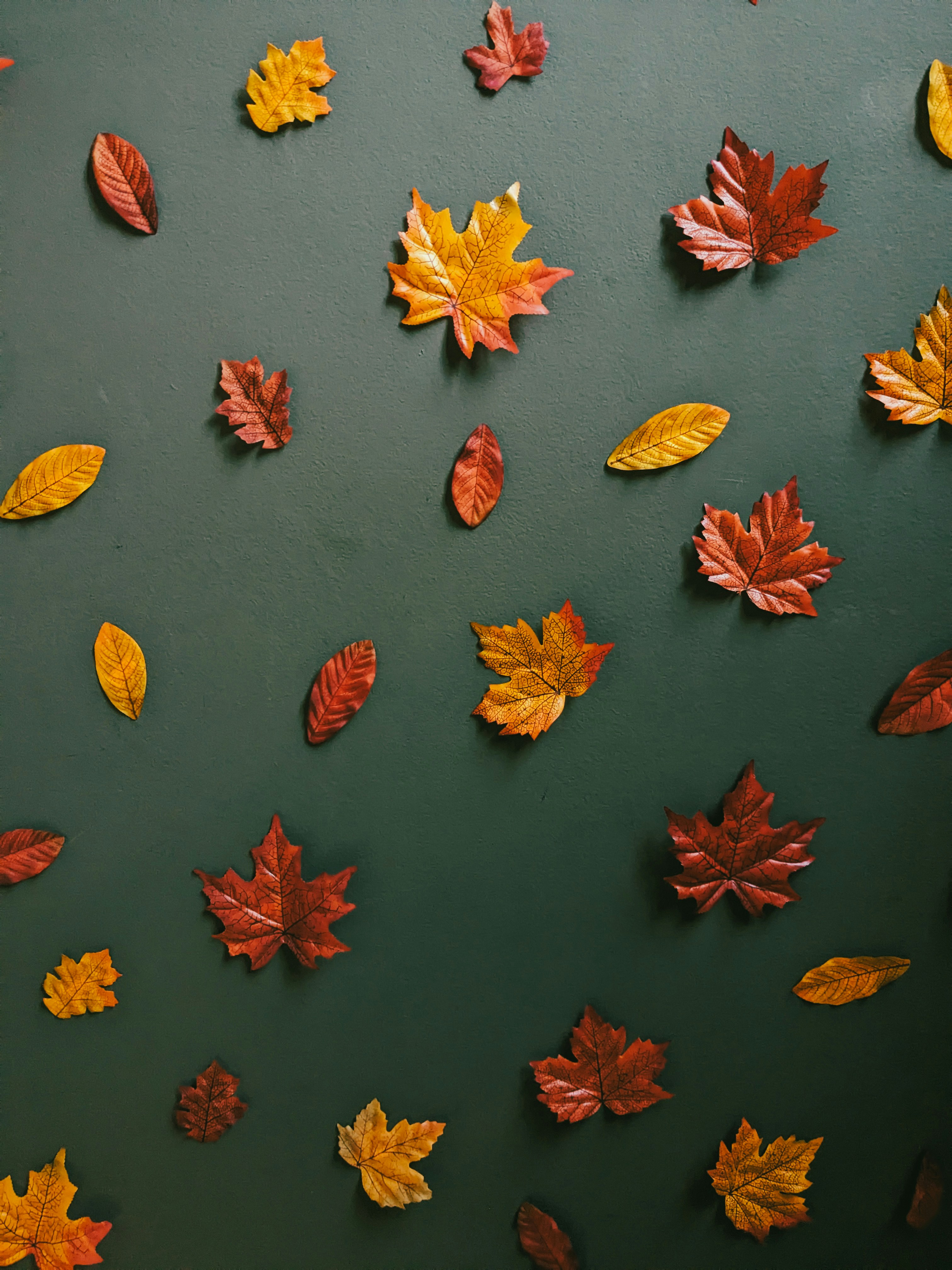 Scattered autumn leaves in red, orange, and yellow across a muted green backdrop, captured as a flat lay with a soft, even texture. The composition emphasizes color variety and seasonal texture.