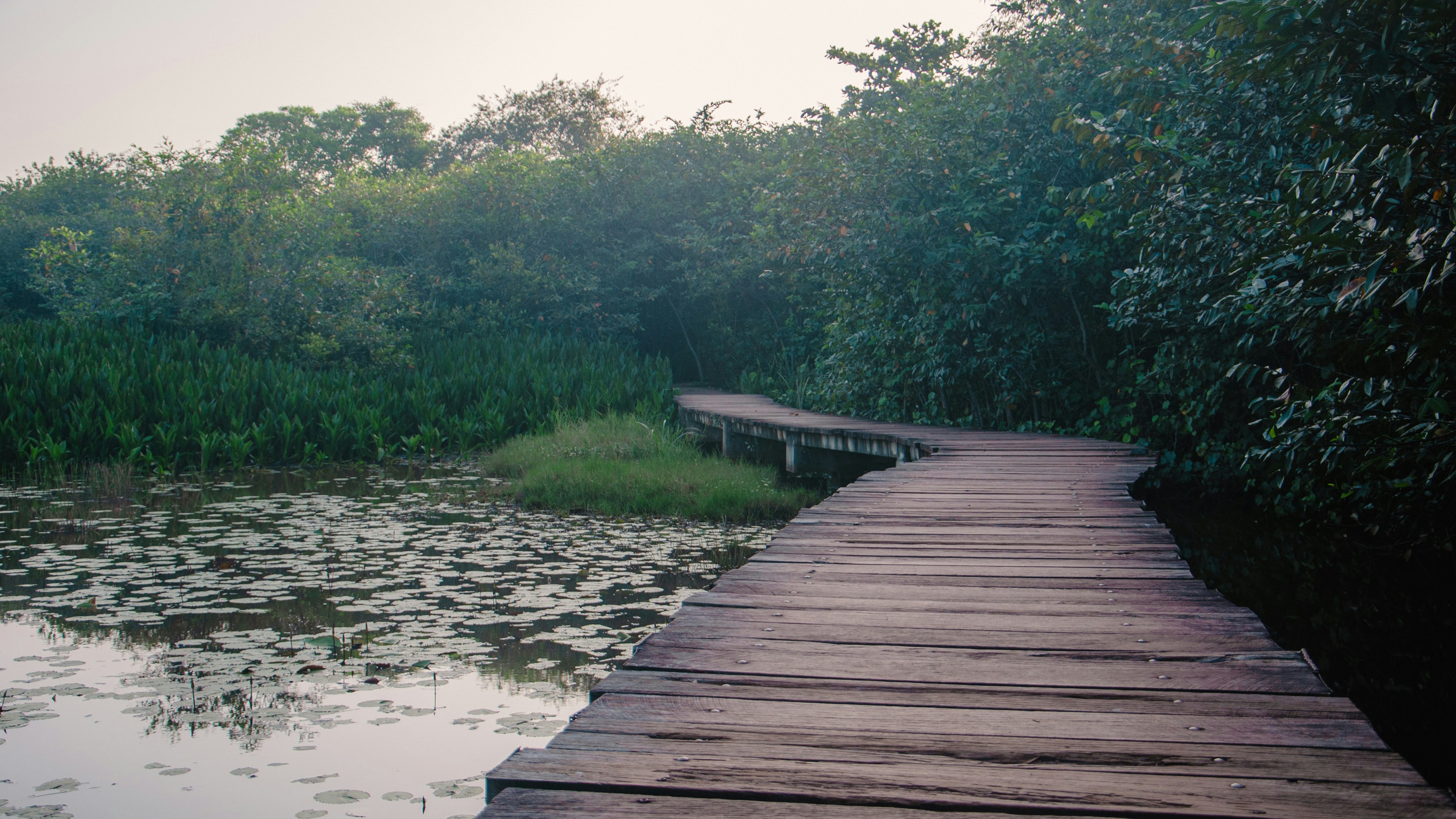 Un quai en bois assis à côté d’un plan d’eau photo – Photo Sri ...