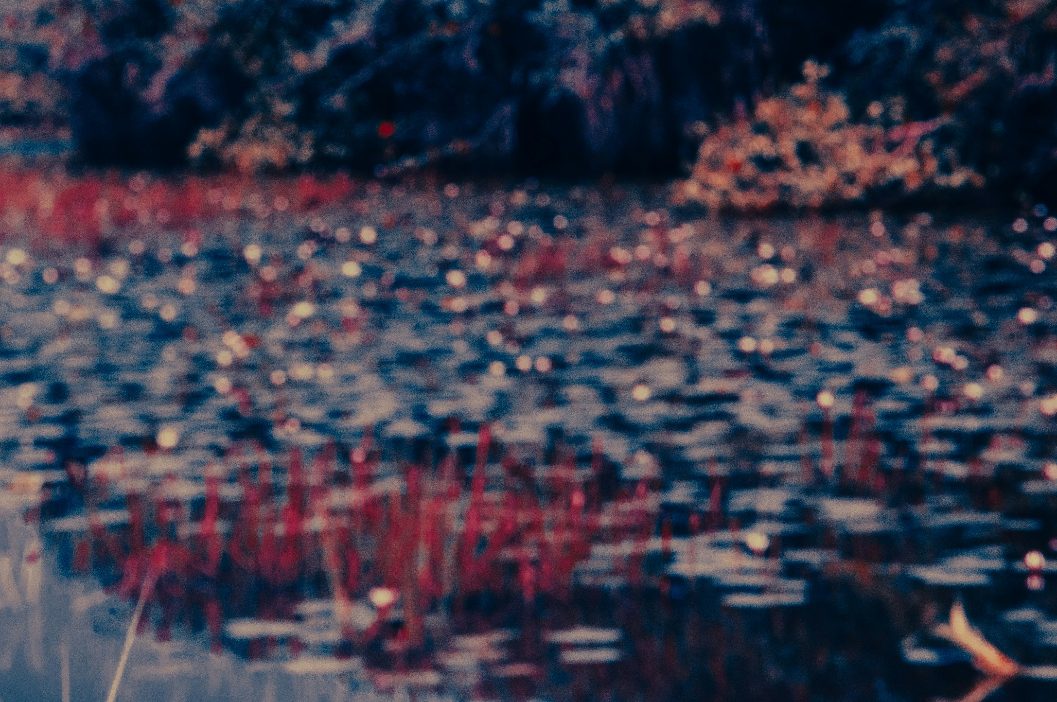 Dappled ripples and autumn reflections on a quiet lake