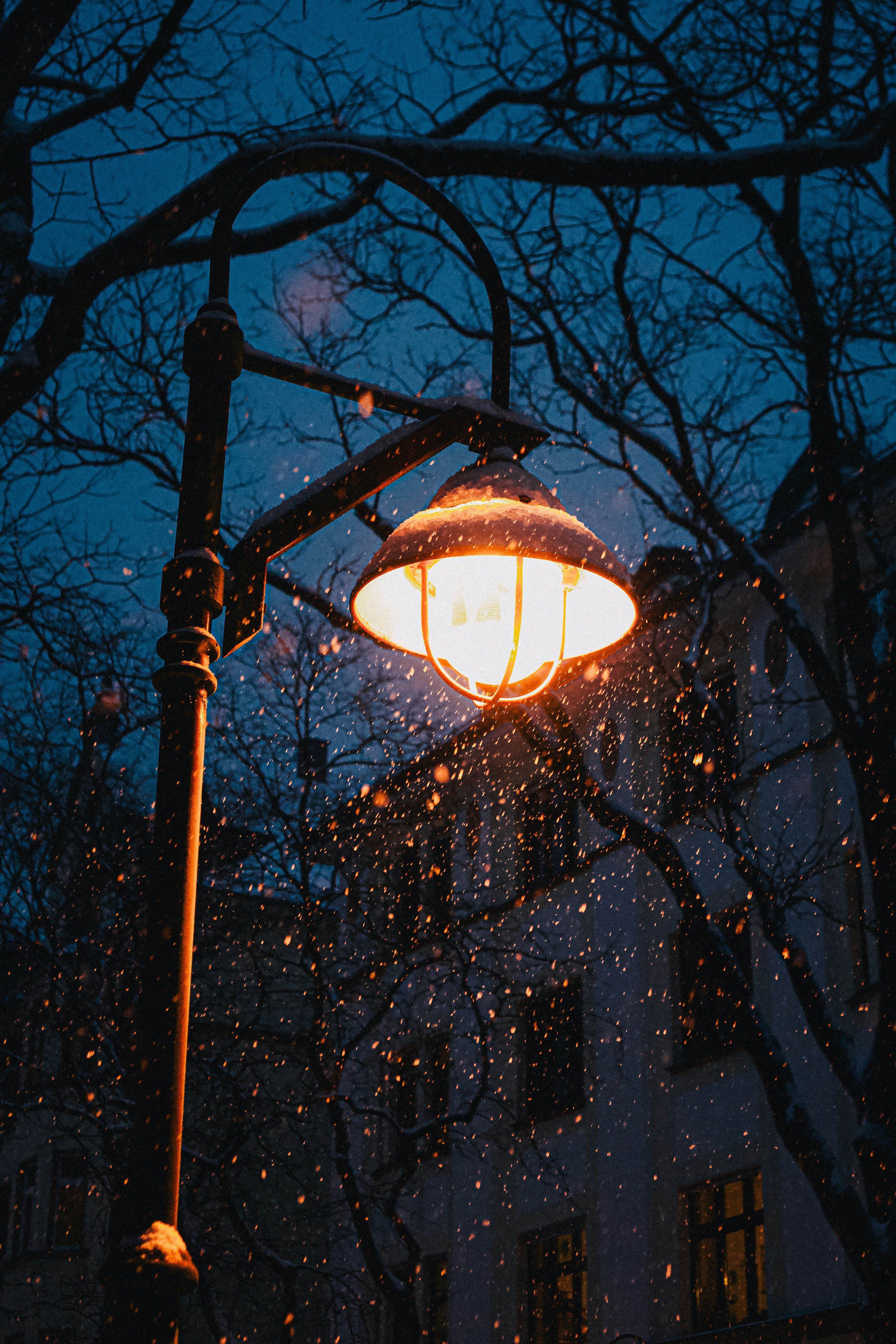 A street light in the snow at night photo – Free Christmas Image on ...