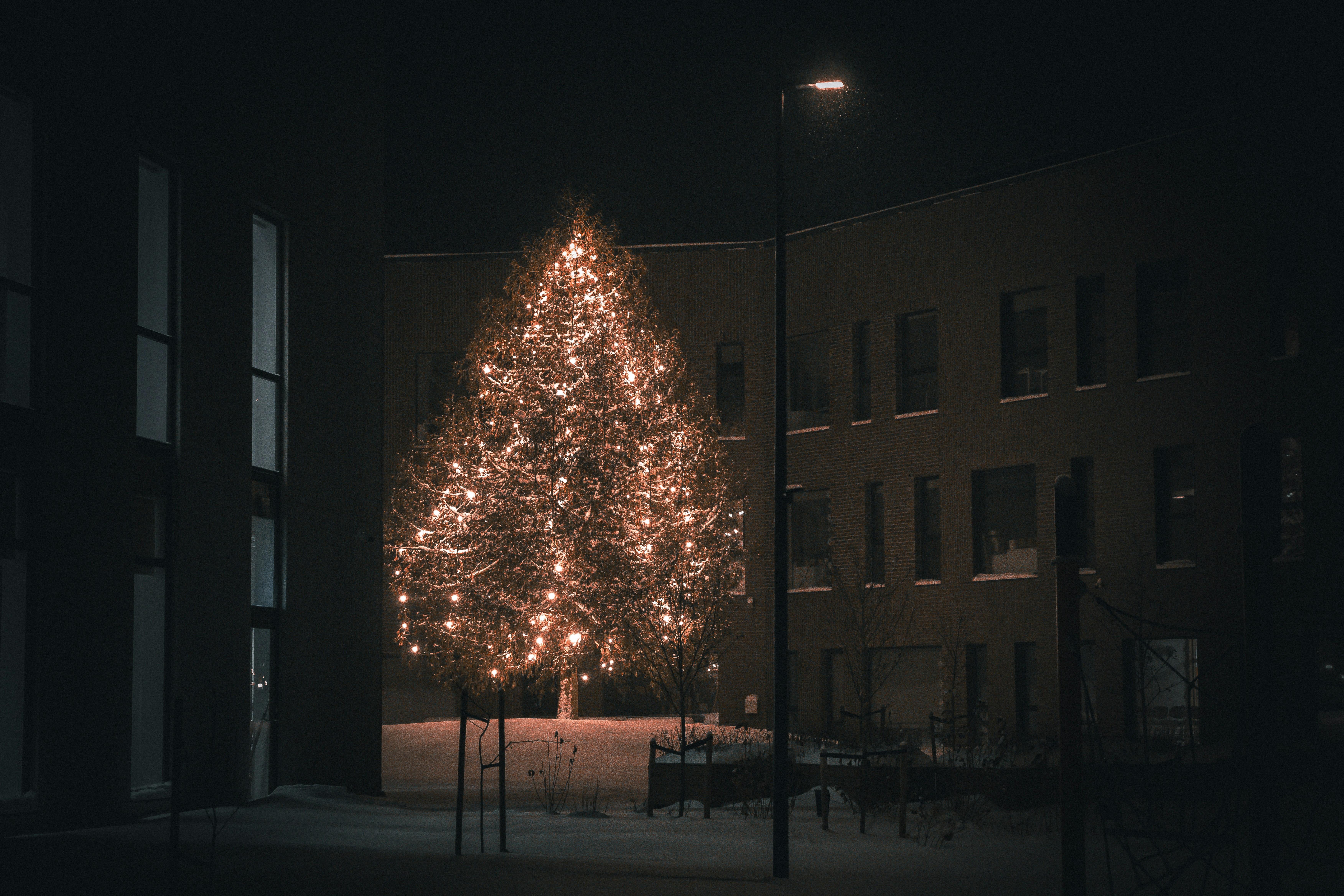 Photo by Nikita Ivanov with Sony Alpha 7 IV