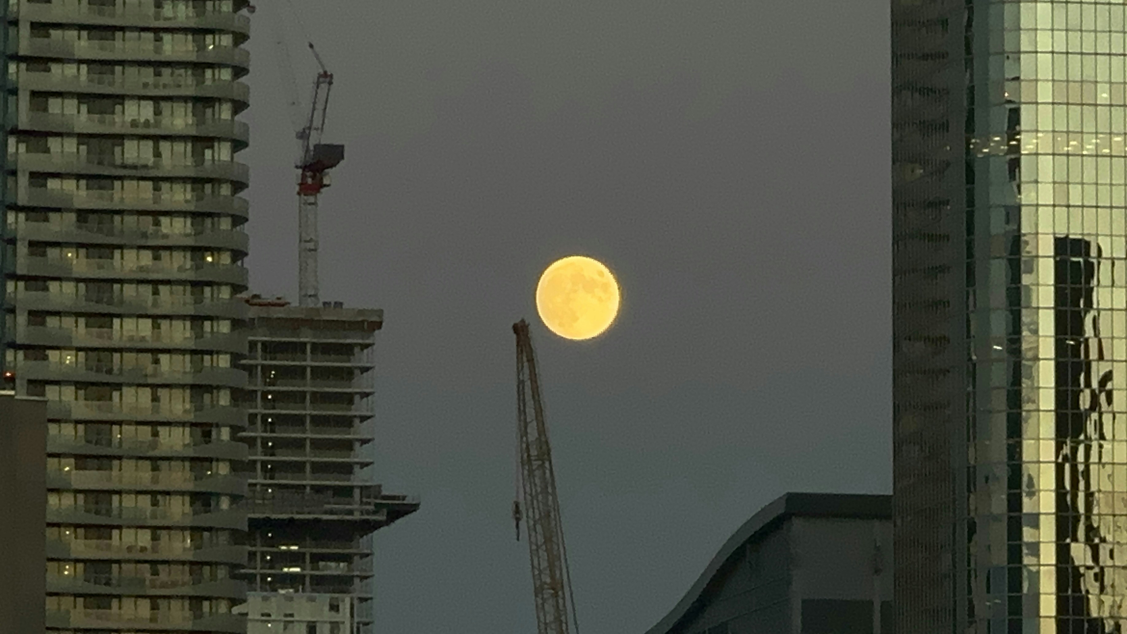 Moonrise Between Glass Towers and a Crane