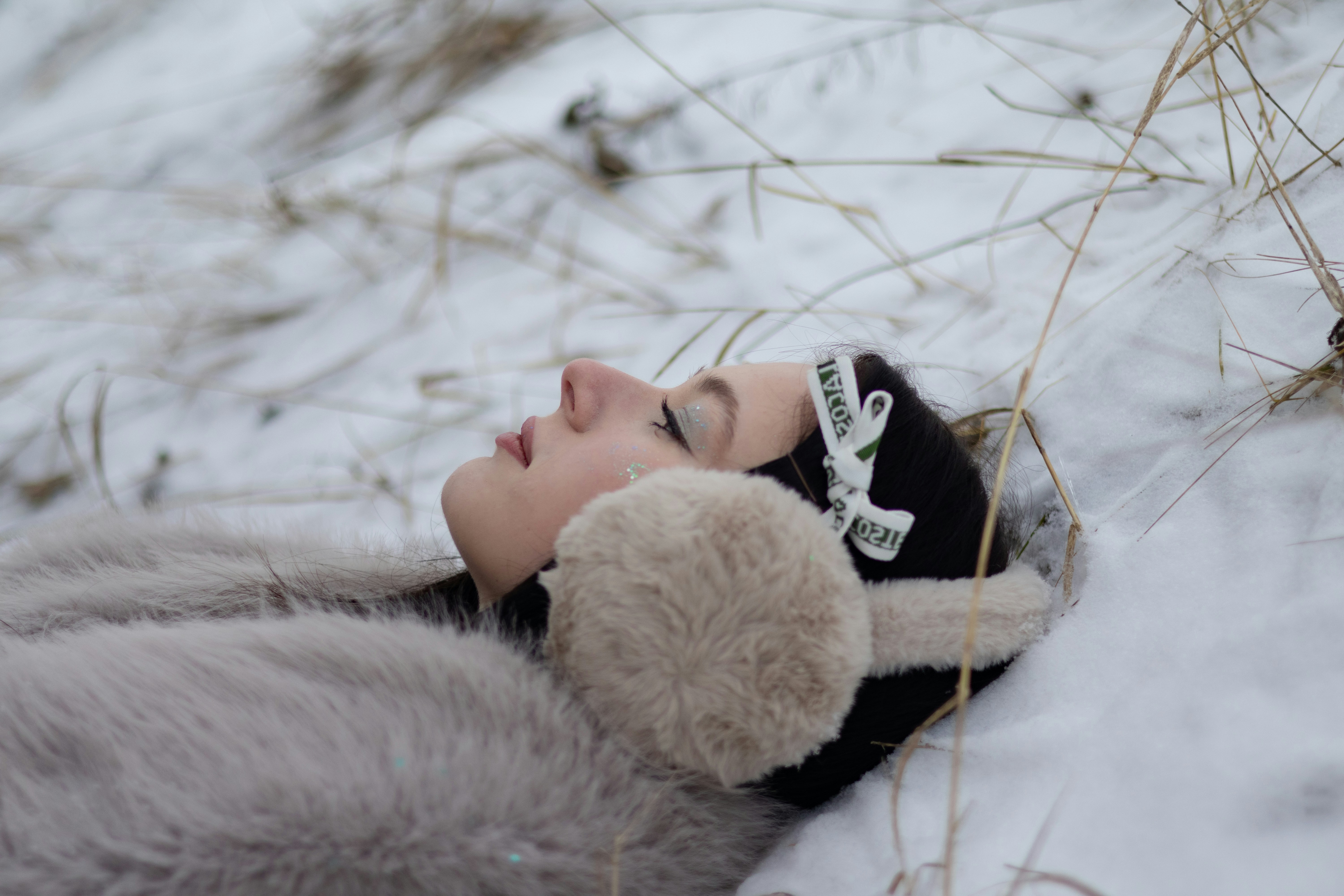 Snowbound Sleep: Portrait of Tranquil Winter Rest