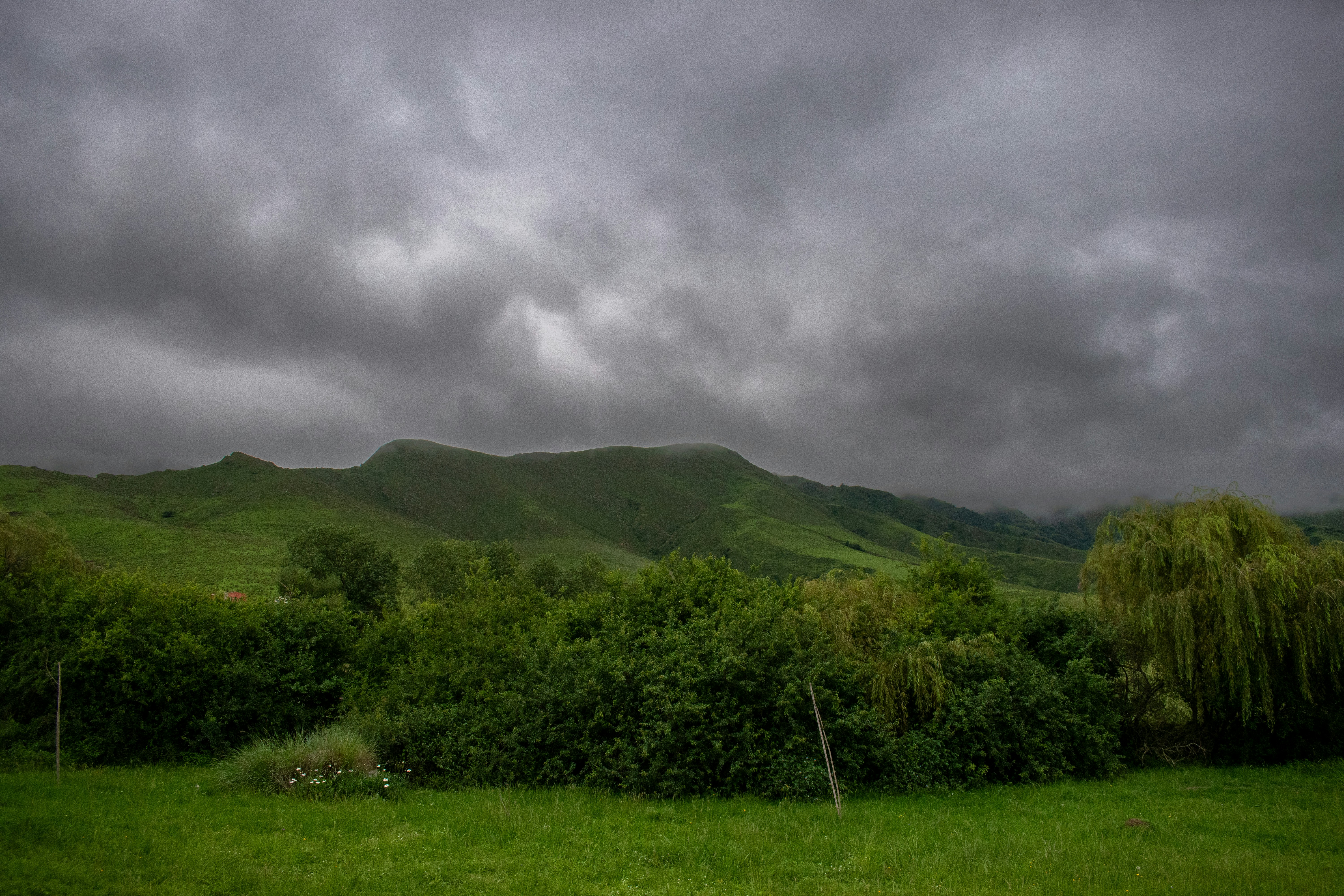 Green Ridge Under a Brooding Sky: A Quiet Countryside Panorama