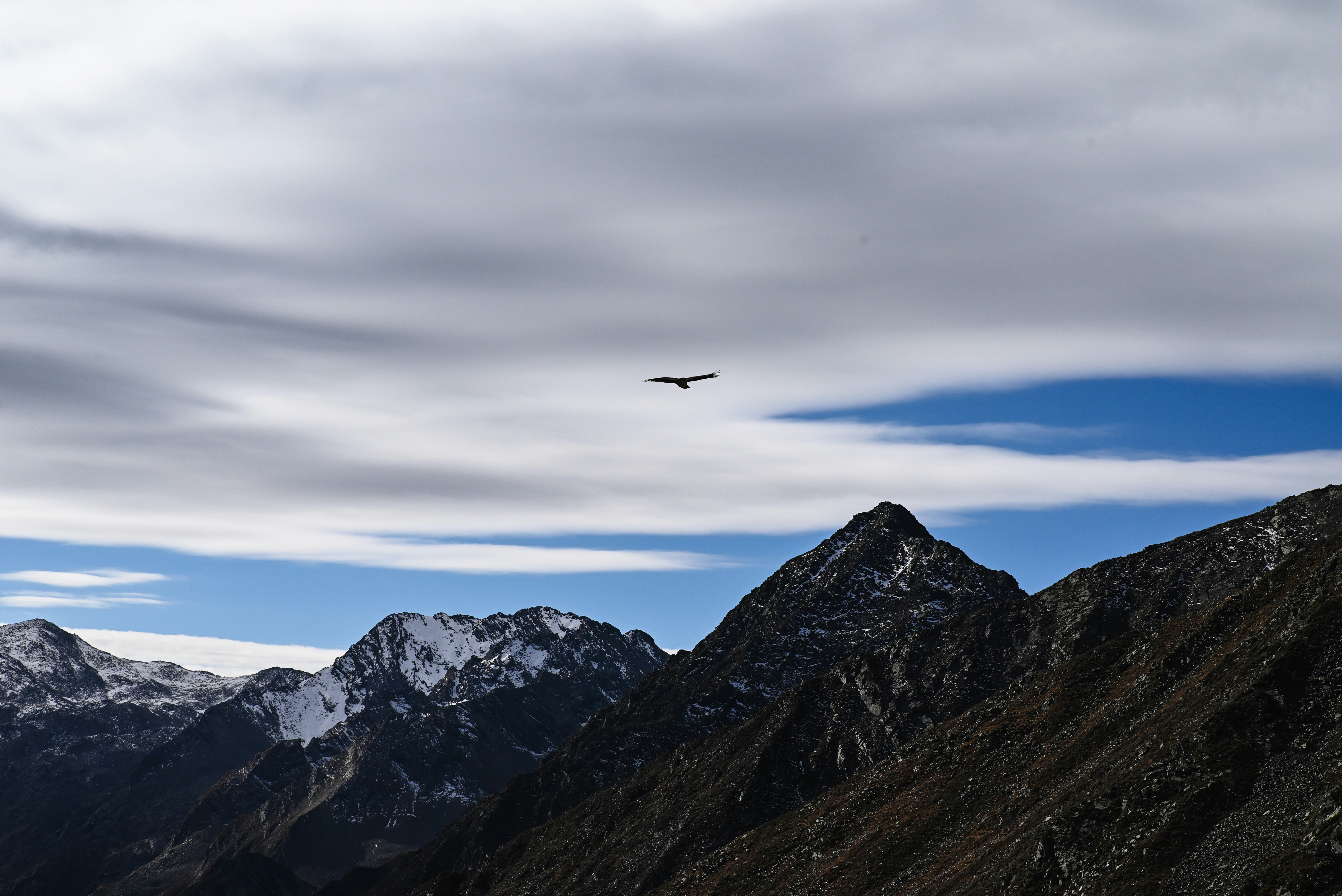 A large bird flying over a mountain range photo – Free Sichuan Image on ...