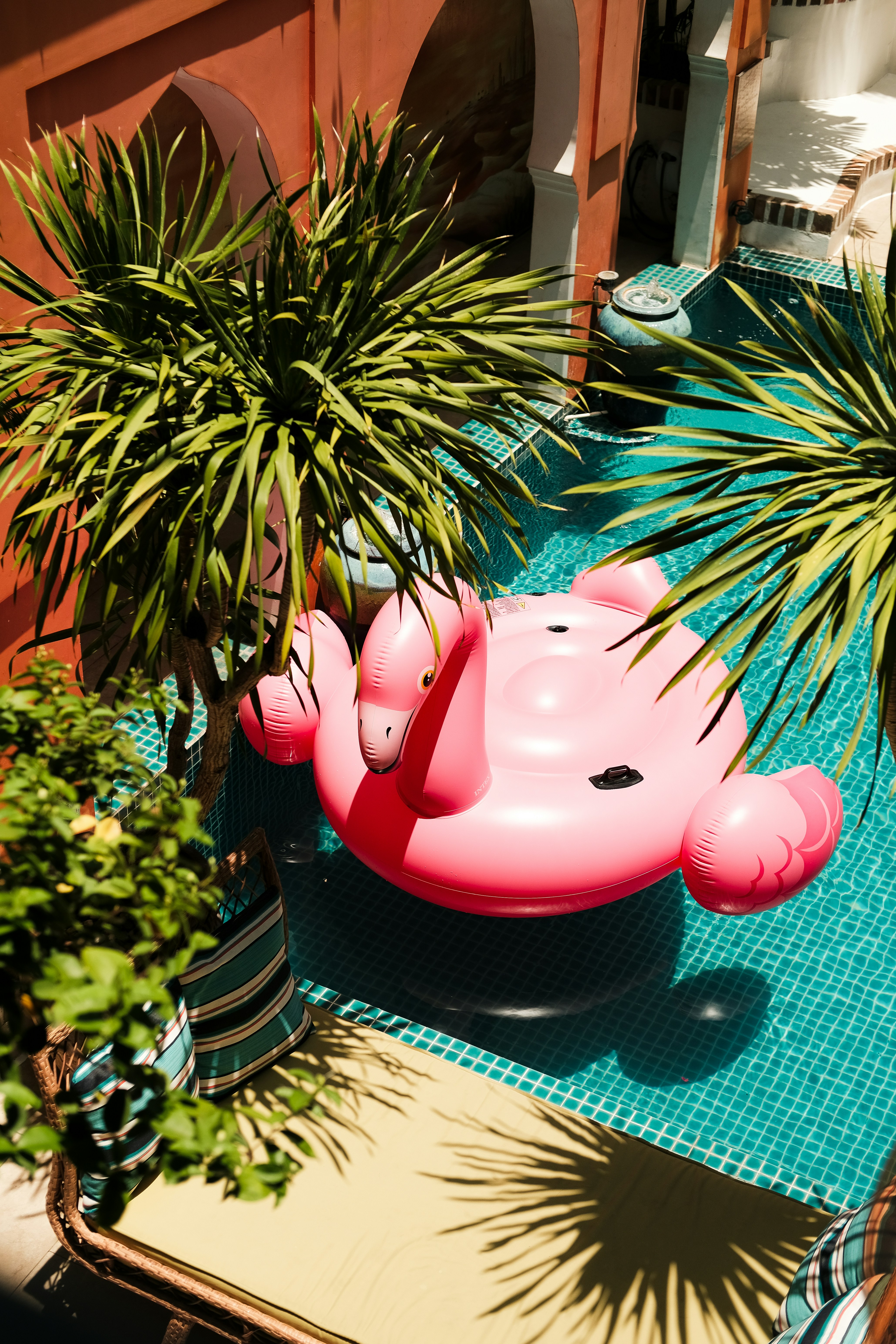 A pink inflatable pig sitting next to a potted plant photo – Free Vũng ...