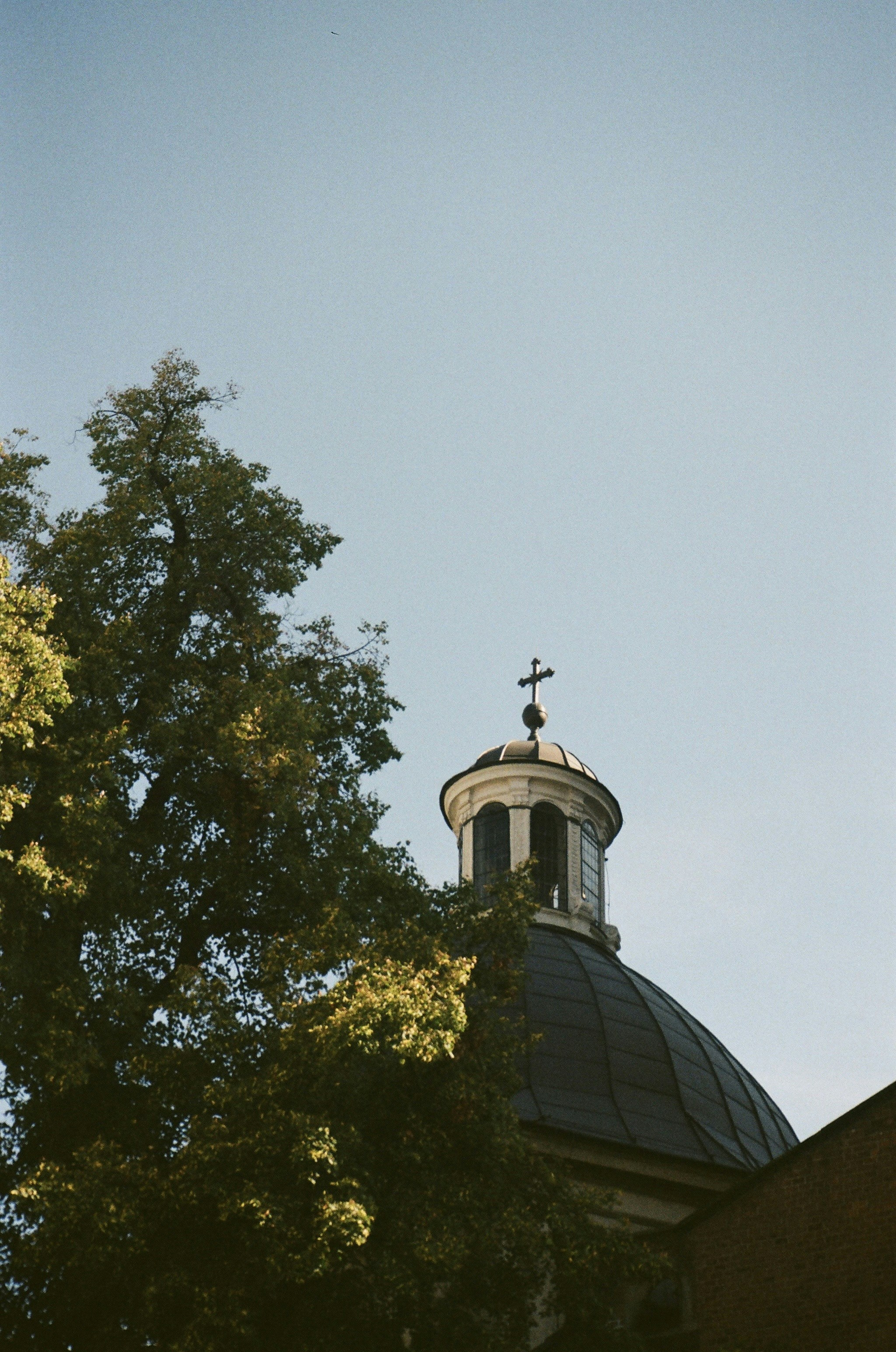 Dome Between Leaves: a Sunlit Church Cupola Against a Clear Sky