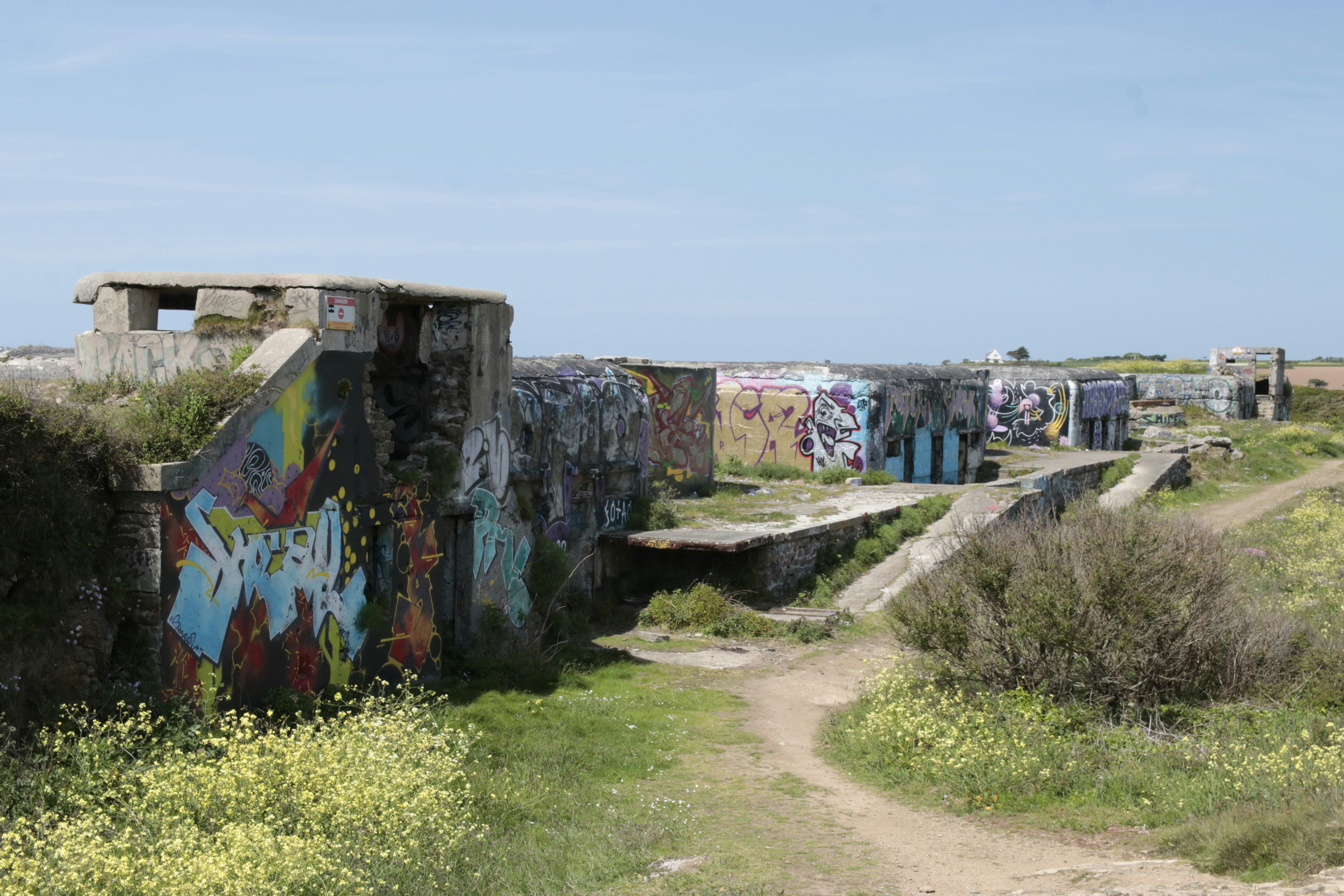 Graffiti-Stamped Concrete Ruins Along a Wildflower Trail