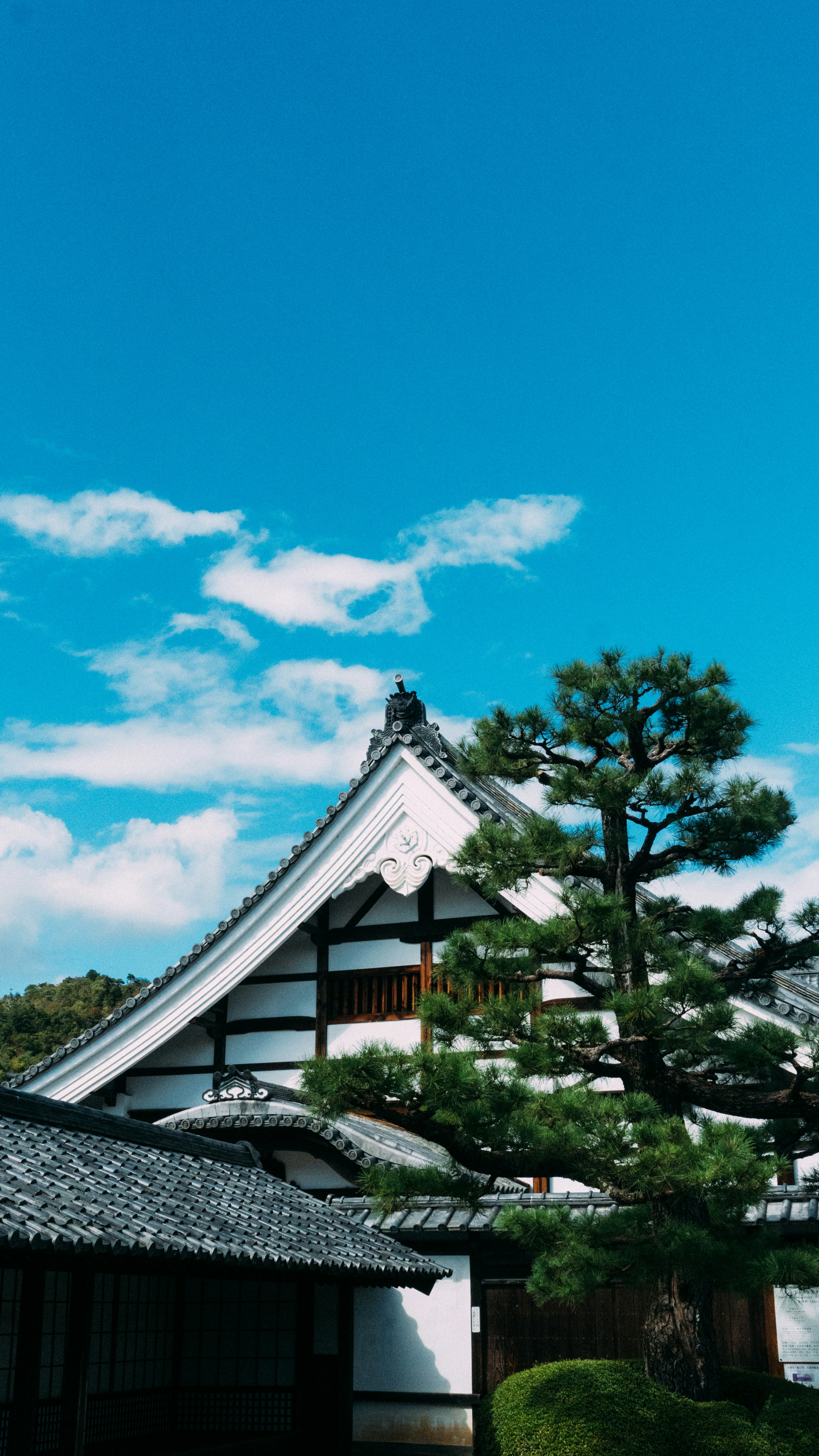 Elegant Japanese architecture framed by lush greenery and a clear blue sky. The intricate roof design showcases traditional craftsmanship.