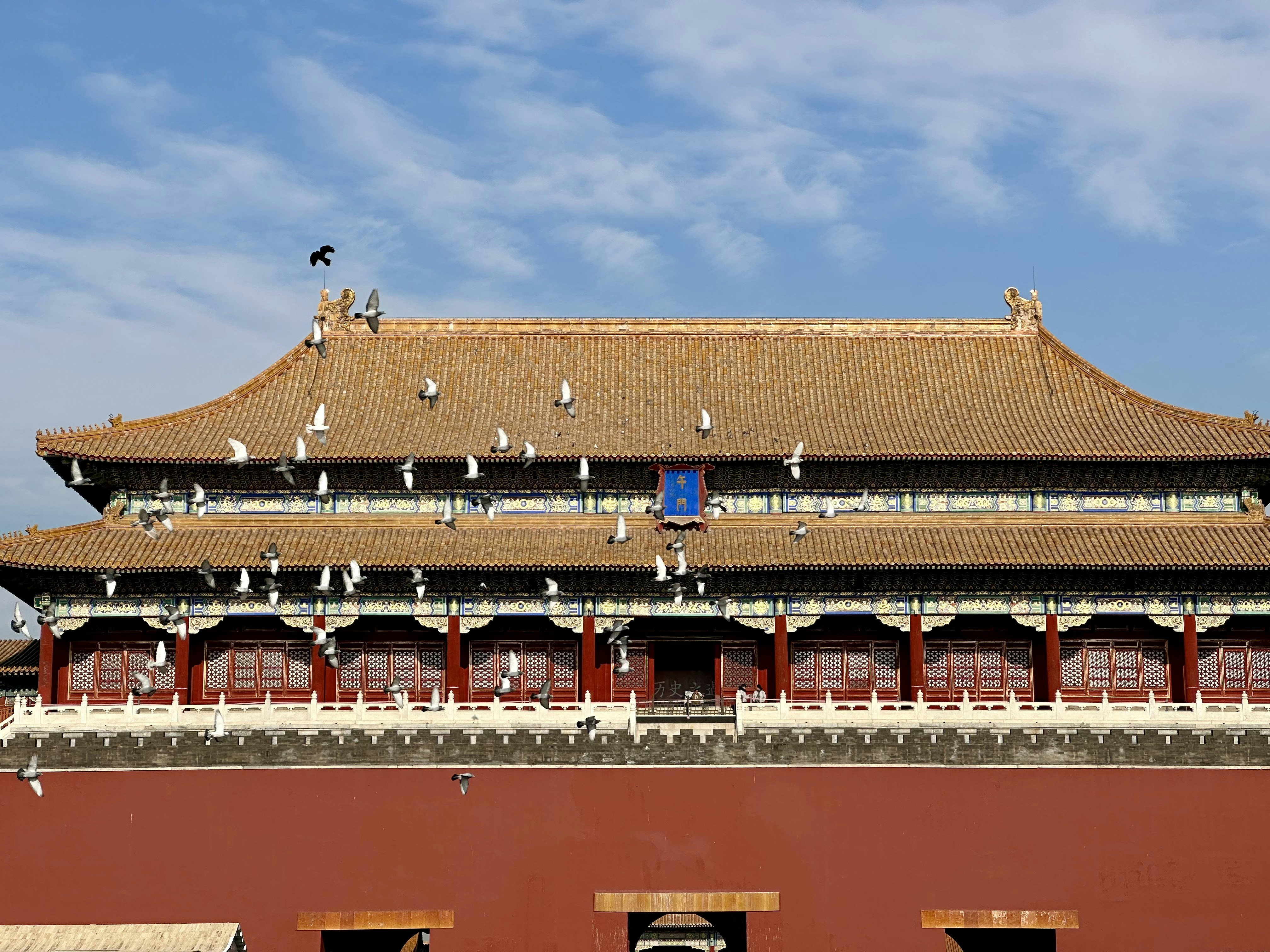 Winged Contrast: Birds Over a Red-Tiled Imperial Facade