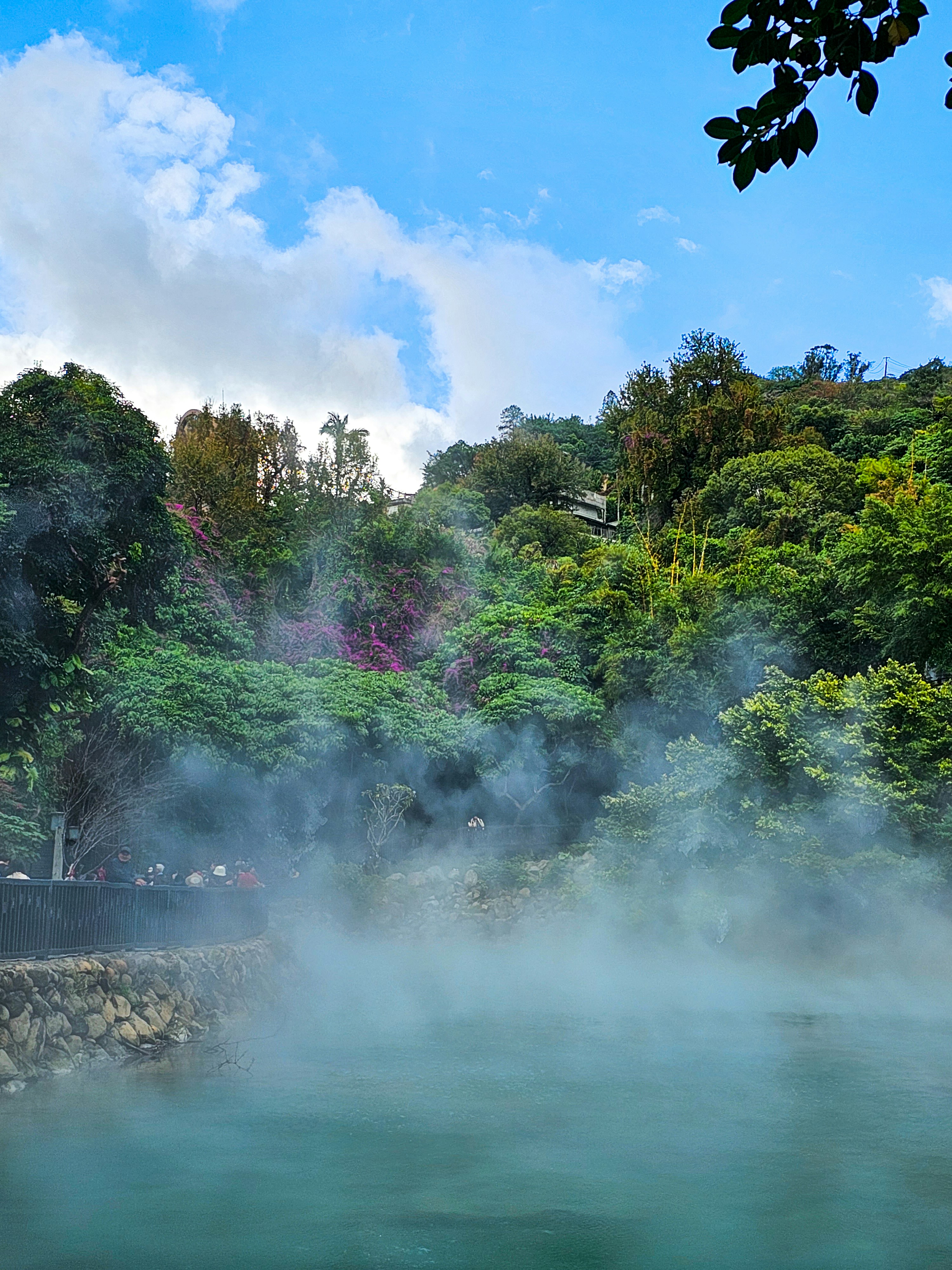 Mist over Emerald Lake Promenade: Steam, Trees, and Riverside Walk