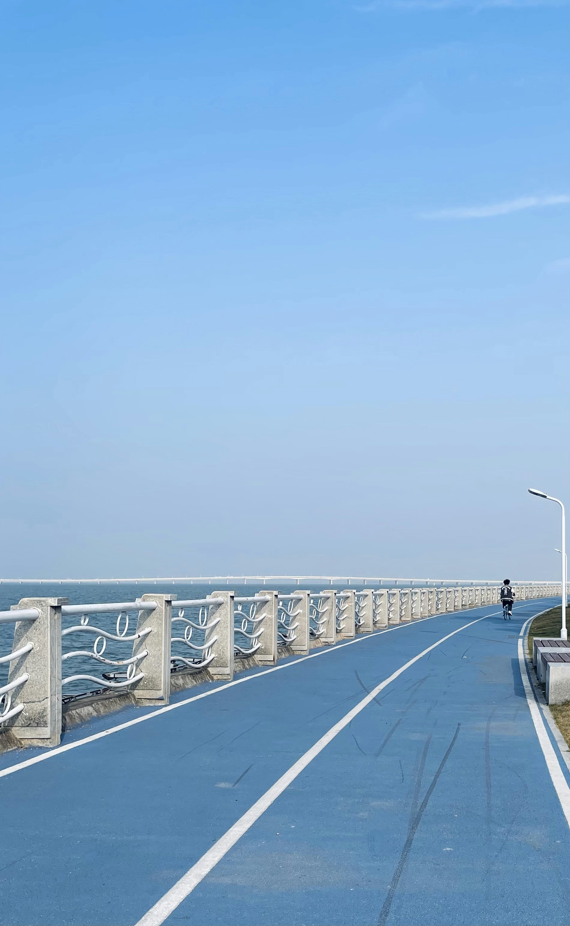 A tranquil blue path alongside a waterfront, bordered by artistic railings, inviting leisurely strolls or bike rides.