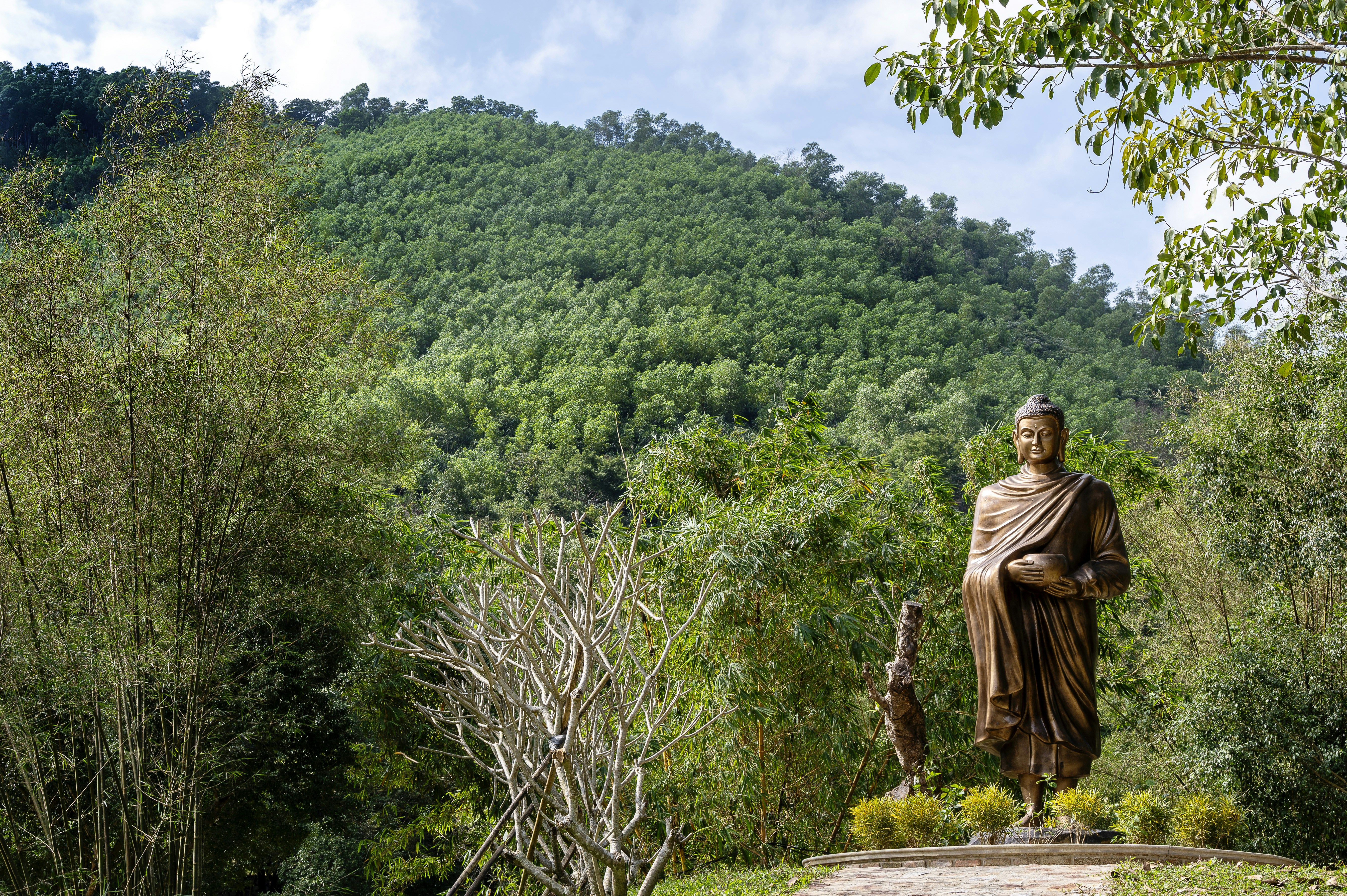 Buddhist statue standing in lush greenery with a backdrop of forested hills under a bright sky.