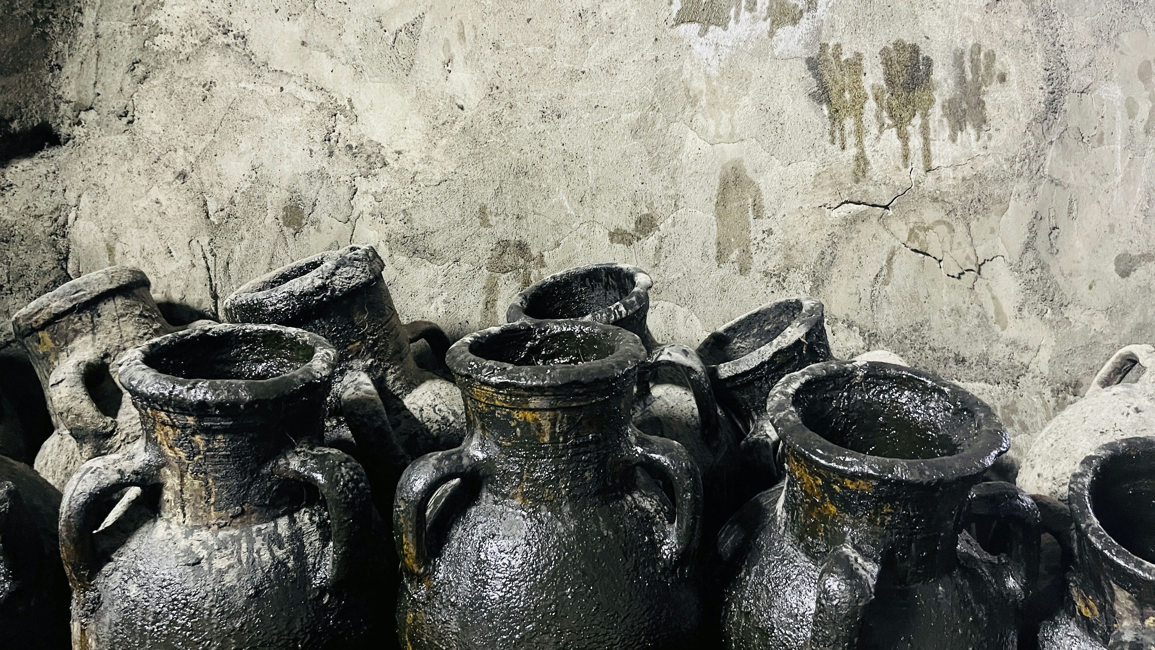 Photo by Rimjhim Agrawal with Apple iPhone 12 Pro Max