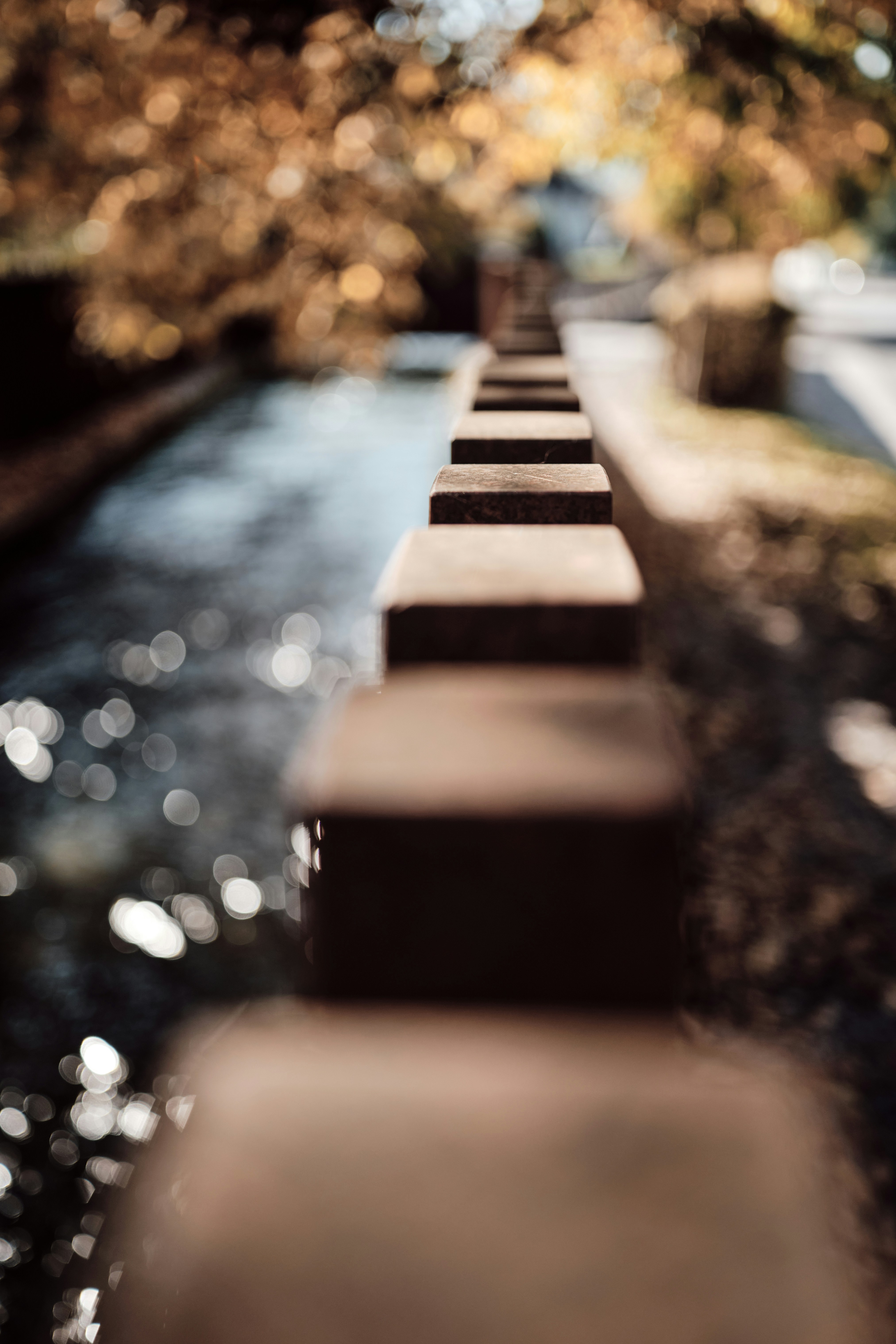 PunchedSteel Rail: A Row of Weathered Posts Running Toward Soft Sunlit Foliage