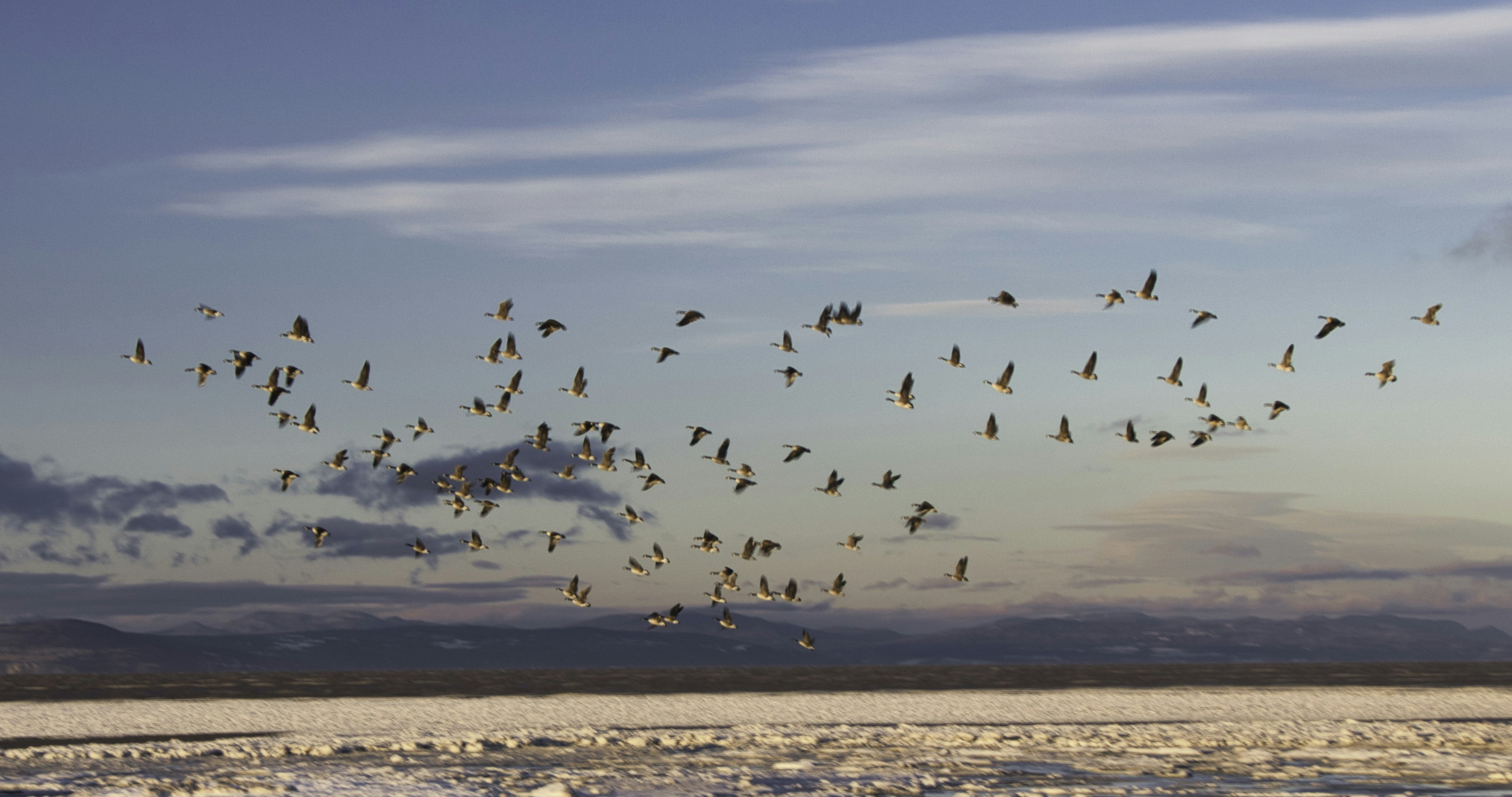 Photo by jacques Létourneau with Canon EOS 77D