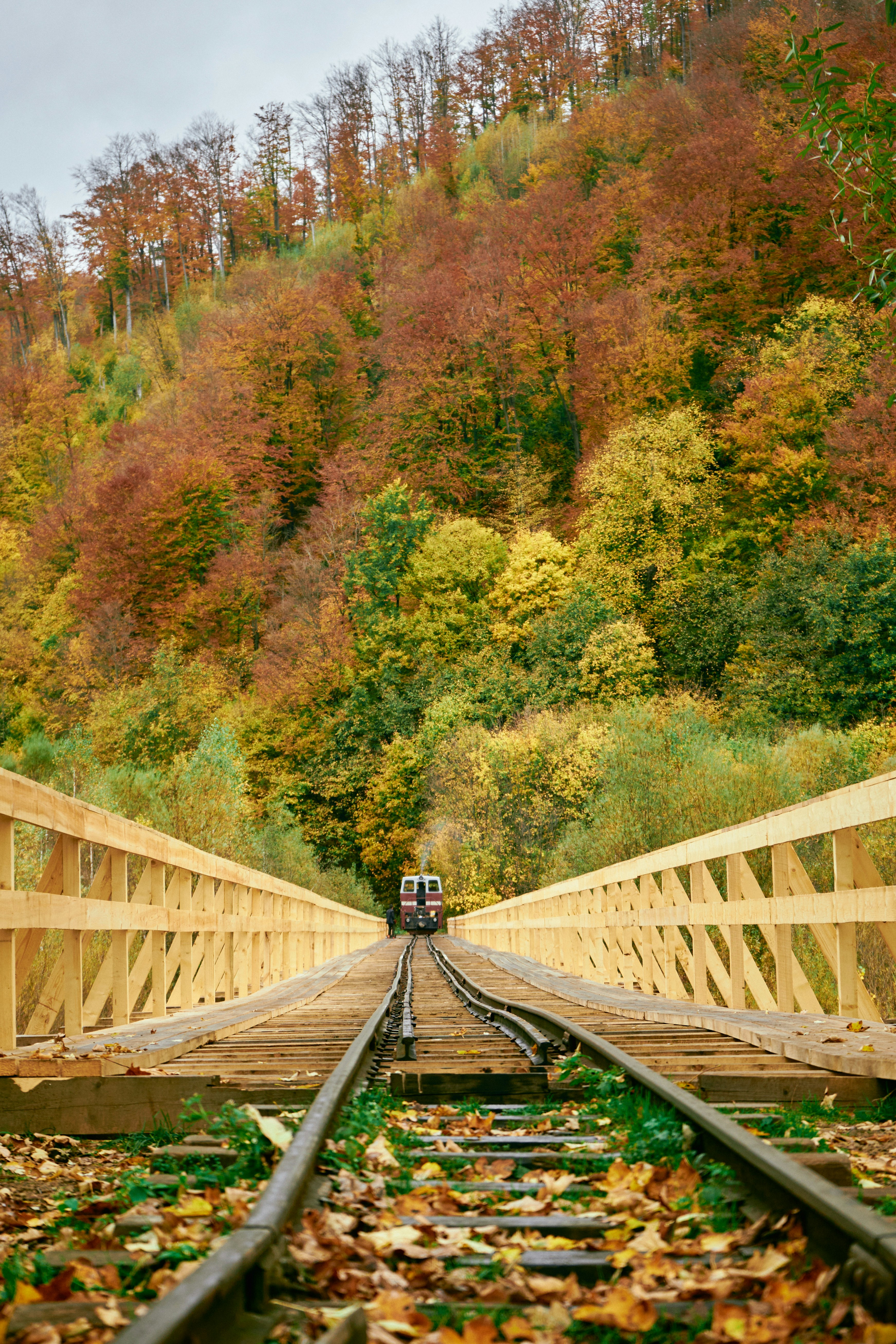 Tiny Locomotive on a Golden Autumn Bridge