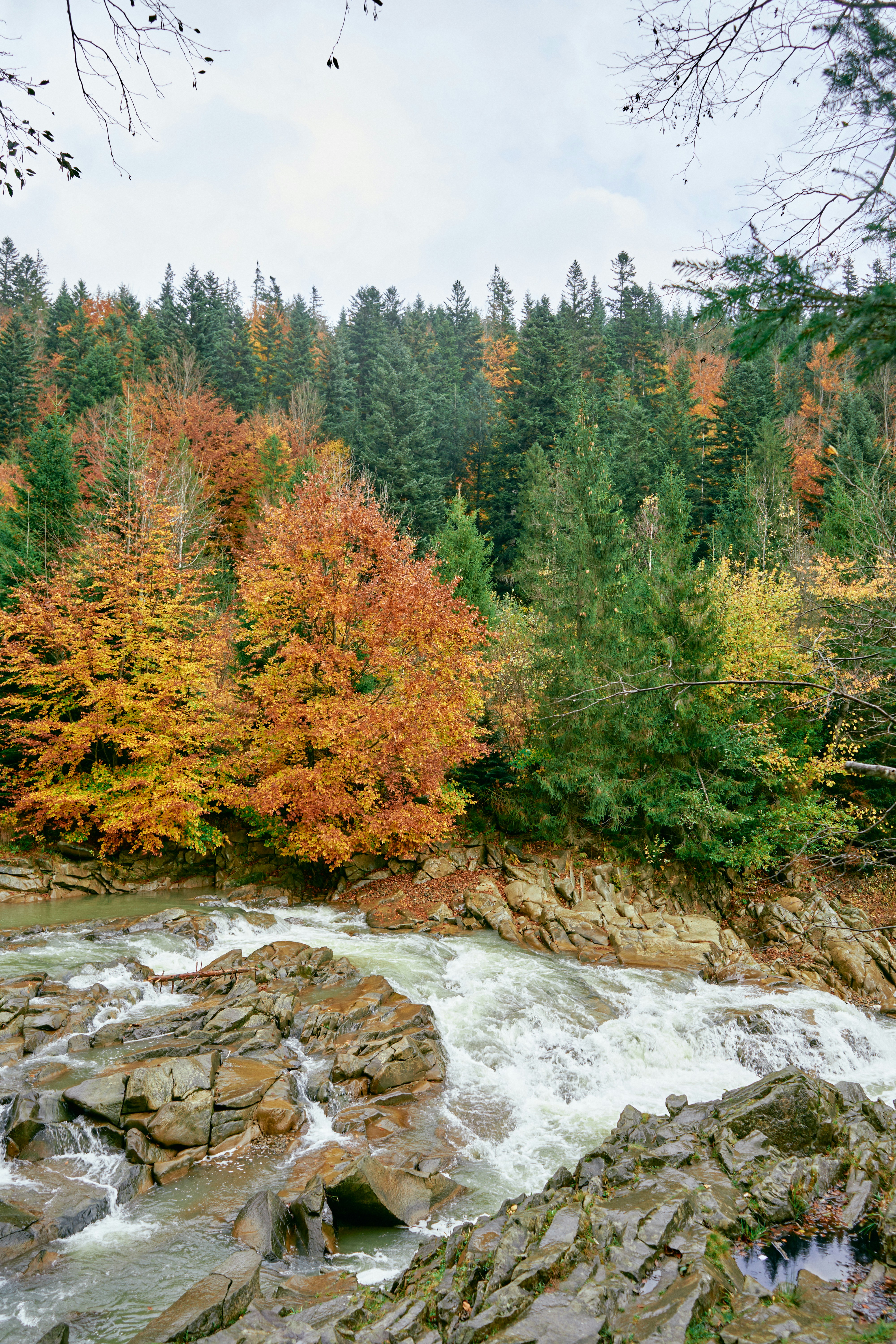 Autumn Cascade: River Rocks and Fiery Trees