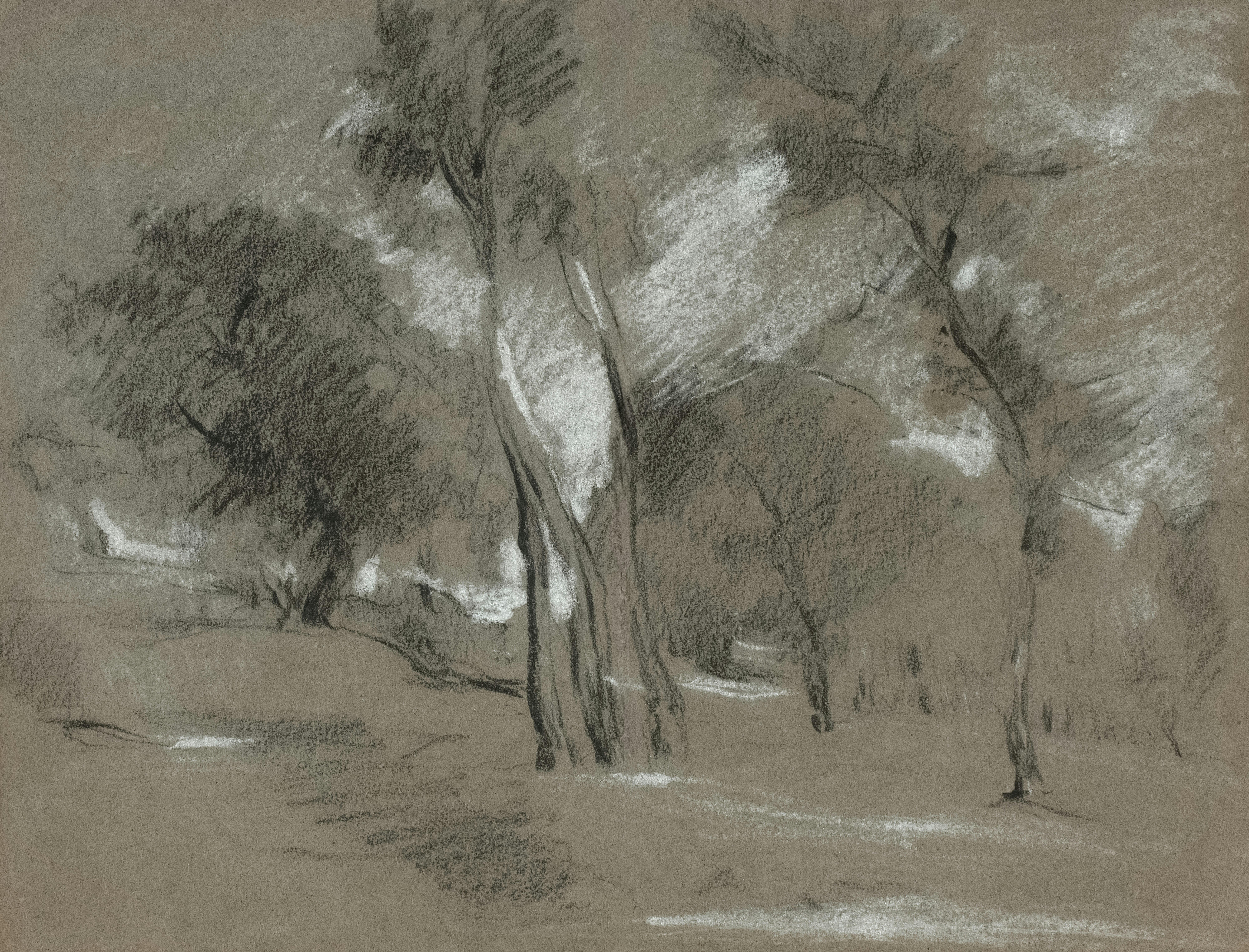 A pencil drawing of trees in a field photo – Free Landscape art Image ...