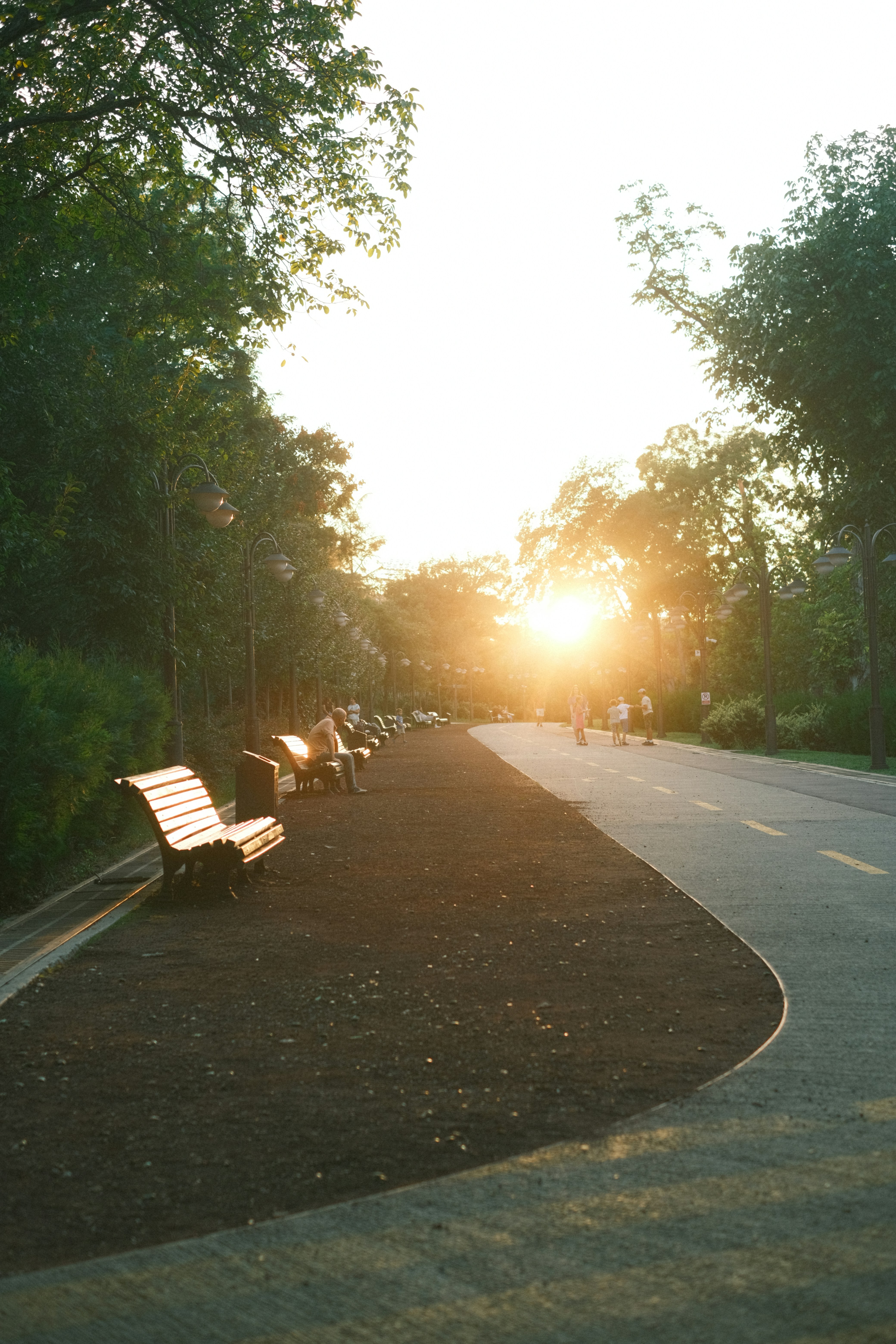 A row of park benches sitting on the side of a road photo – Free Path ...
